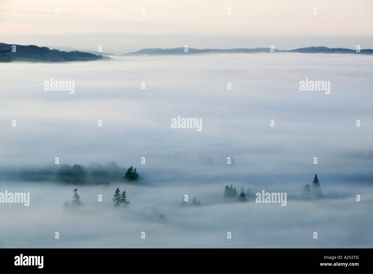 Trees poking through the valley mist of a temperature inversion, from ...