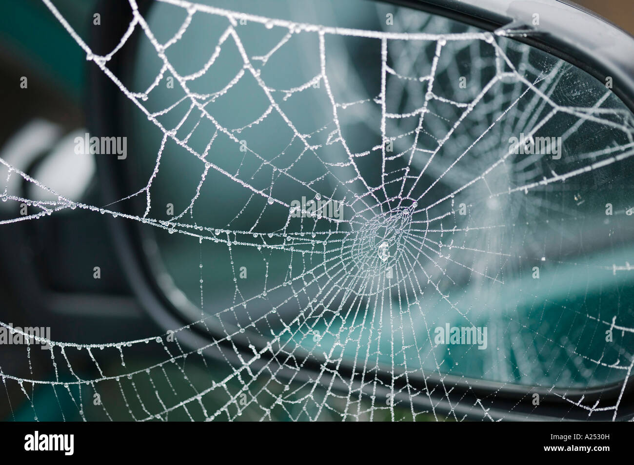 a frozen spiders web on a car wing mirror, UK Stock Photo - Alamy