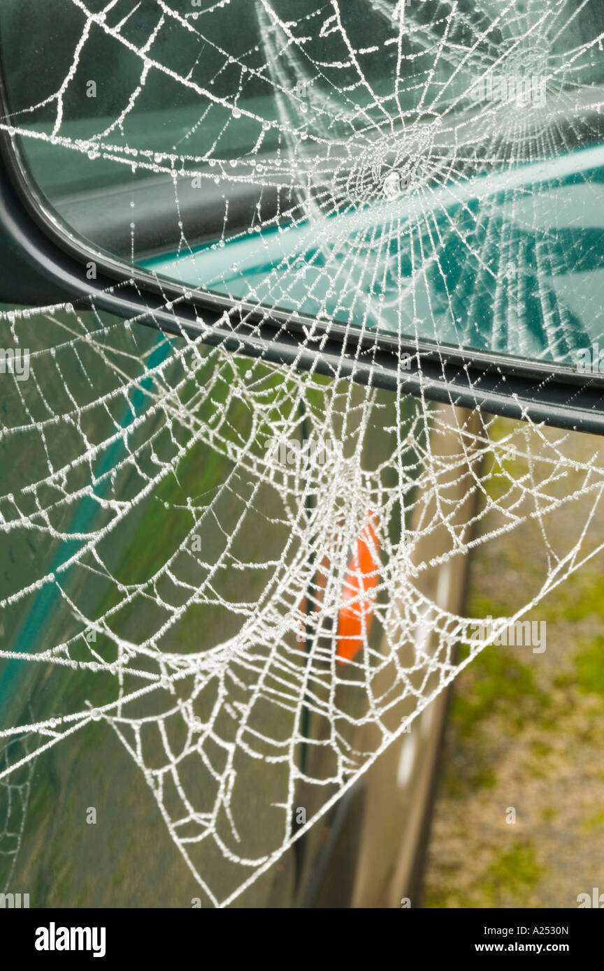 Spun car hi-res stock photography and images - Alamy