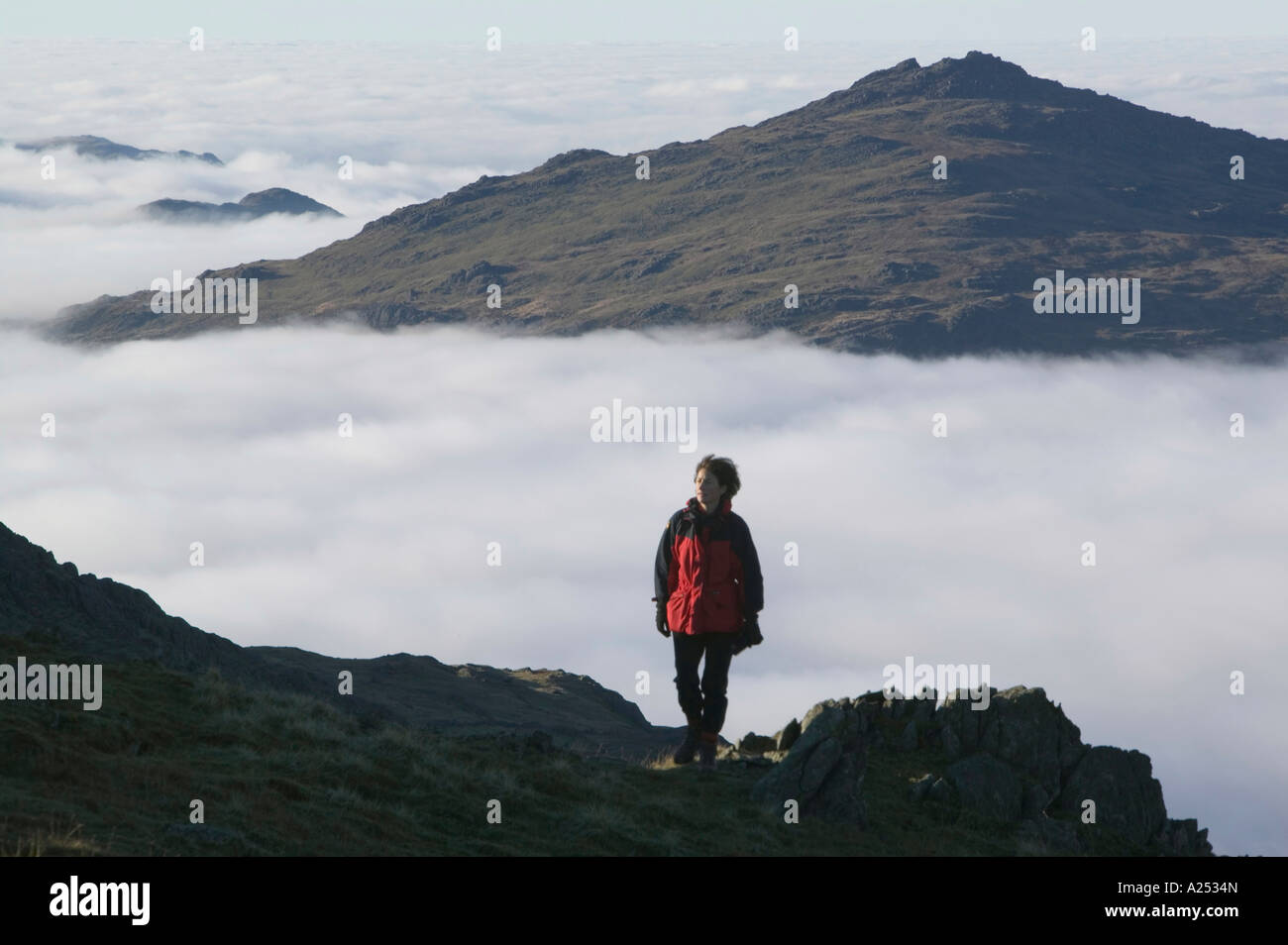 walking on Grey Friar above the cloud during a temperature inversion ...