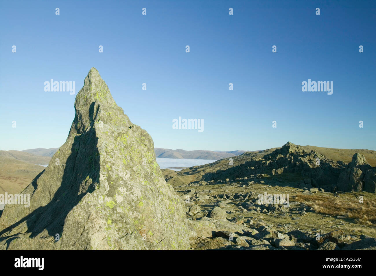 Grey friar hi-res stock photography and images - Alamy