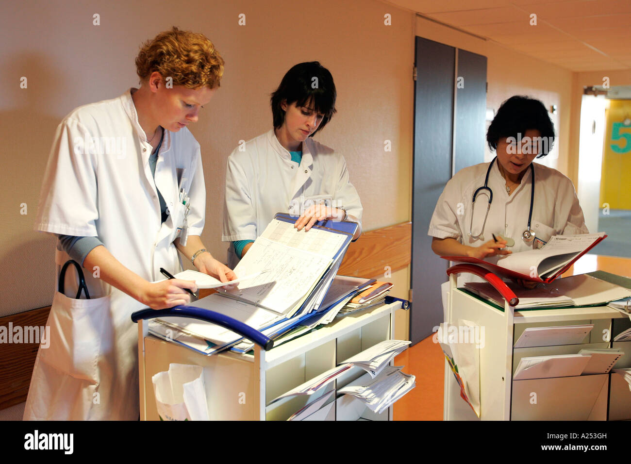The Hague Hospital MCH Medisch Centrum Haaglanden Doctors and nurses ...