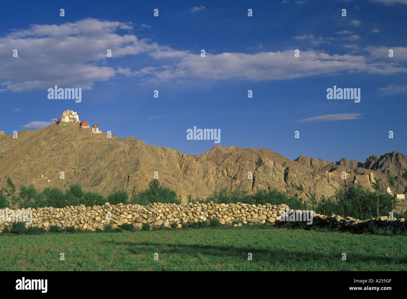 India Ladakh Leh landscape Gompa Monastery palace Ridge field wall ...