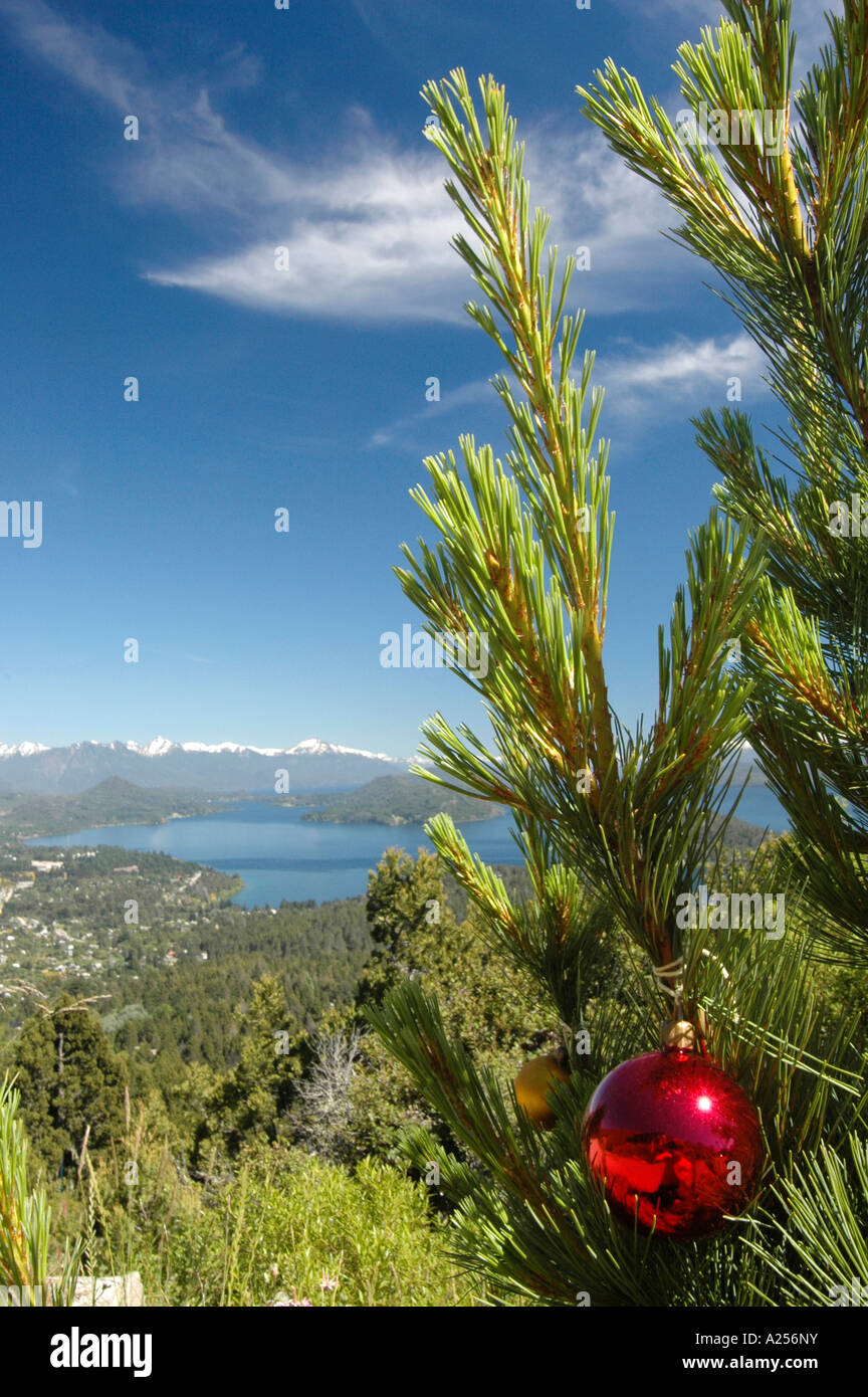 Christmas tree in summer, Bariloche, Patagonia, Argentina Stock Photo ...