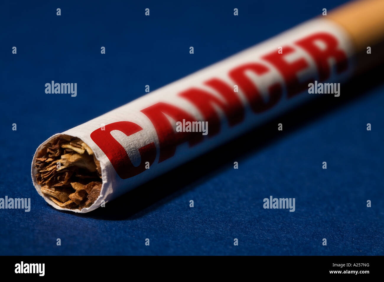 Cigarette with cancer printed on the side of it Stock Photo - Alamy