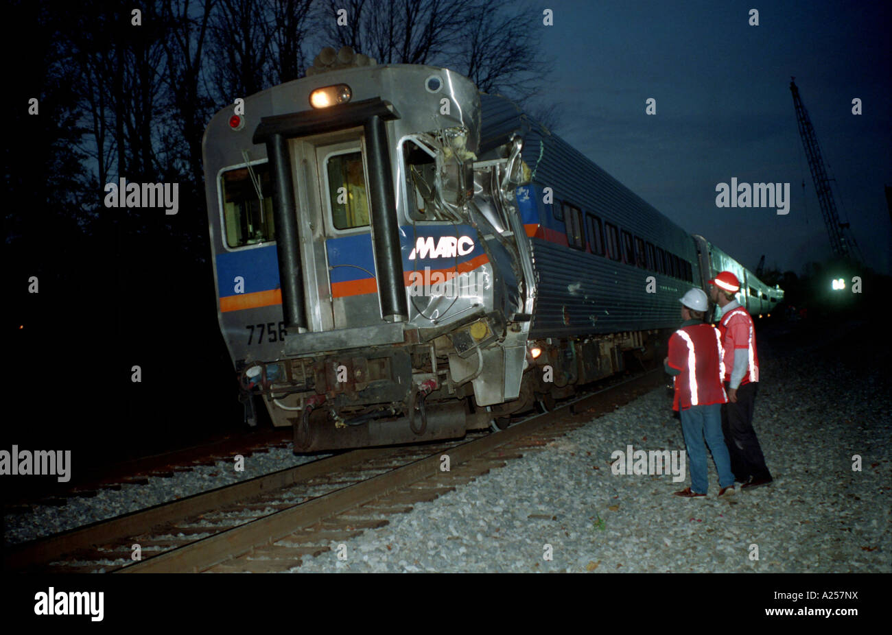 Are Dogs Allowed On Marc Train