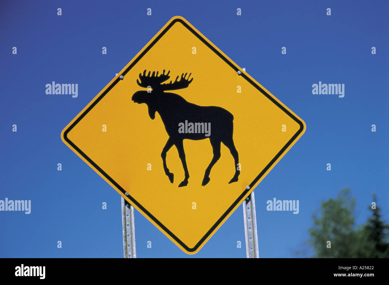 Warning sign elks hi-res stock photography and images - Alamy
