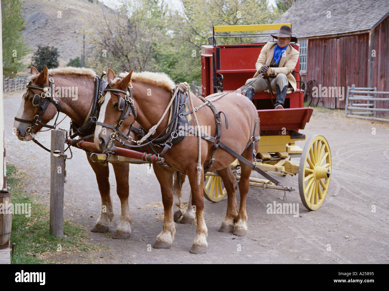 Man In Horse Drawn Cart Stock Photos & Man In Horse Drawn Cart Stock ...