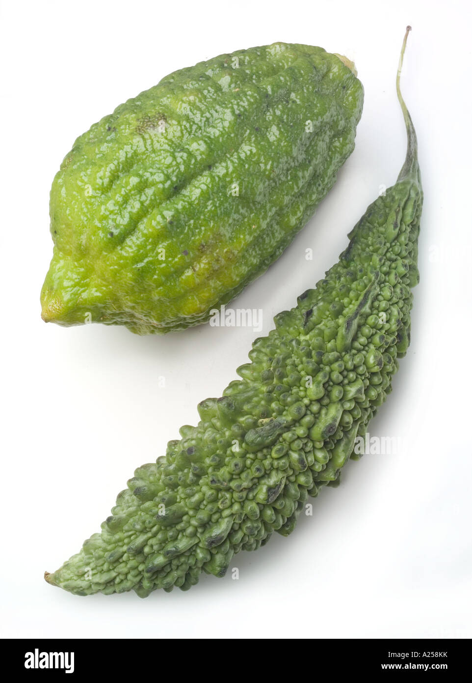 kaffir lime bitter melon on white background cut out Stock Photo - Alamy