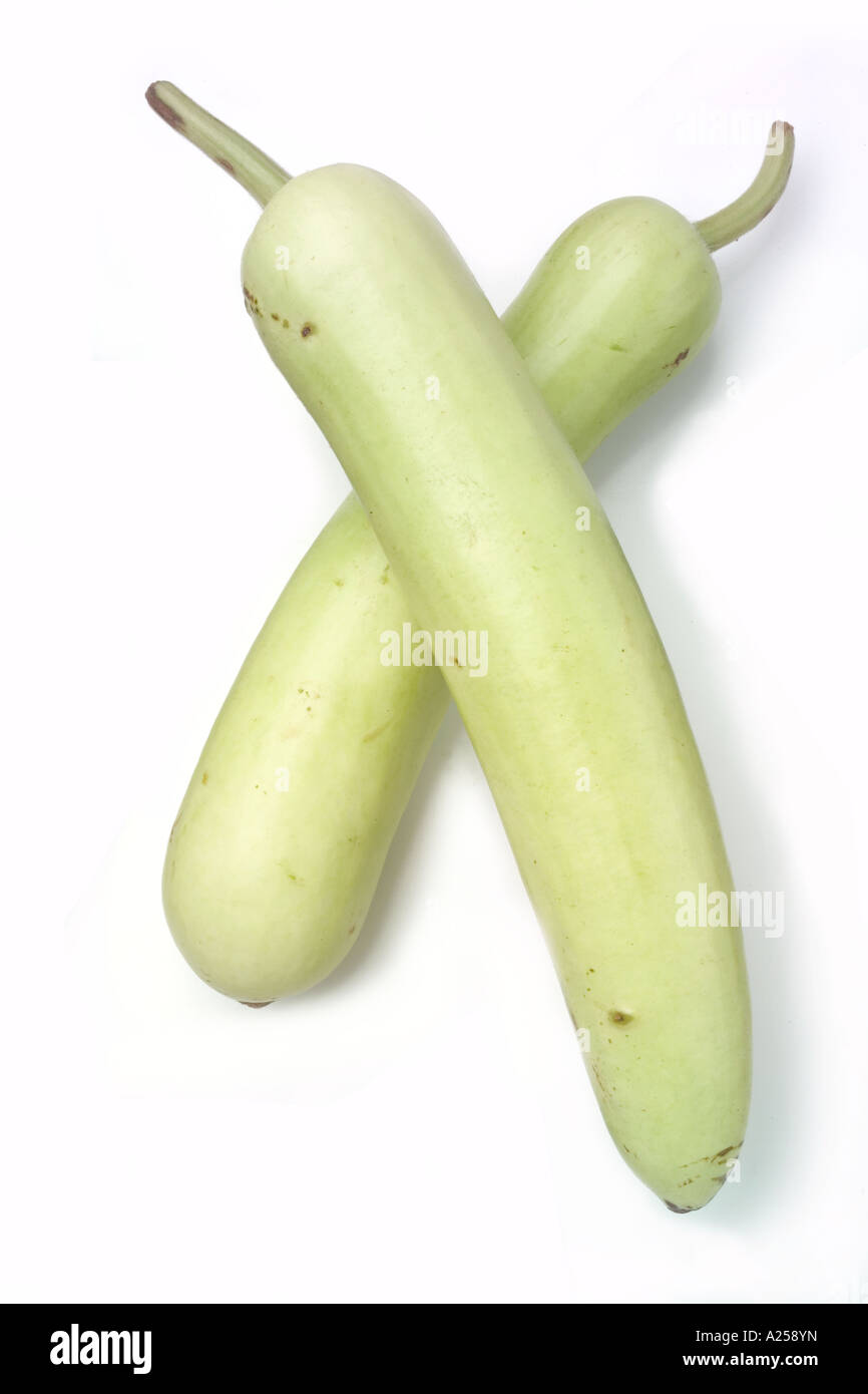 dudhi bottle gourd Stock Photo - Alamy