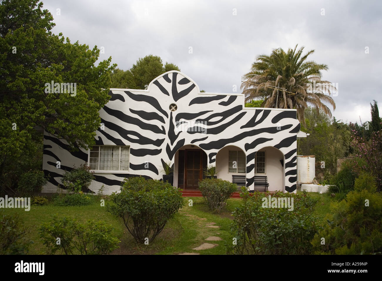 Zebra house hi-res stock photography and images - Alamy