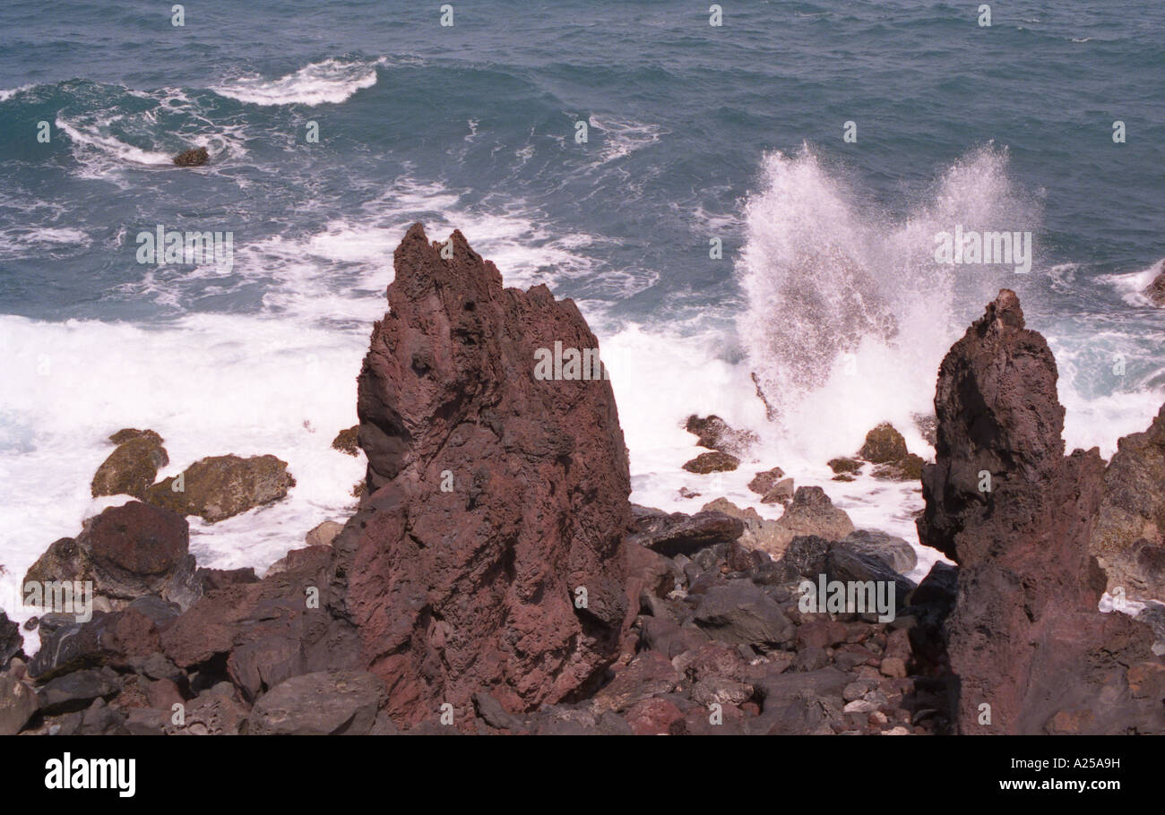 Beautiful volcanic Rock on the island of Barbados in the Caribbean Sea ...
