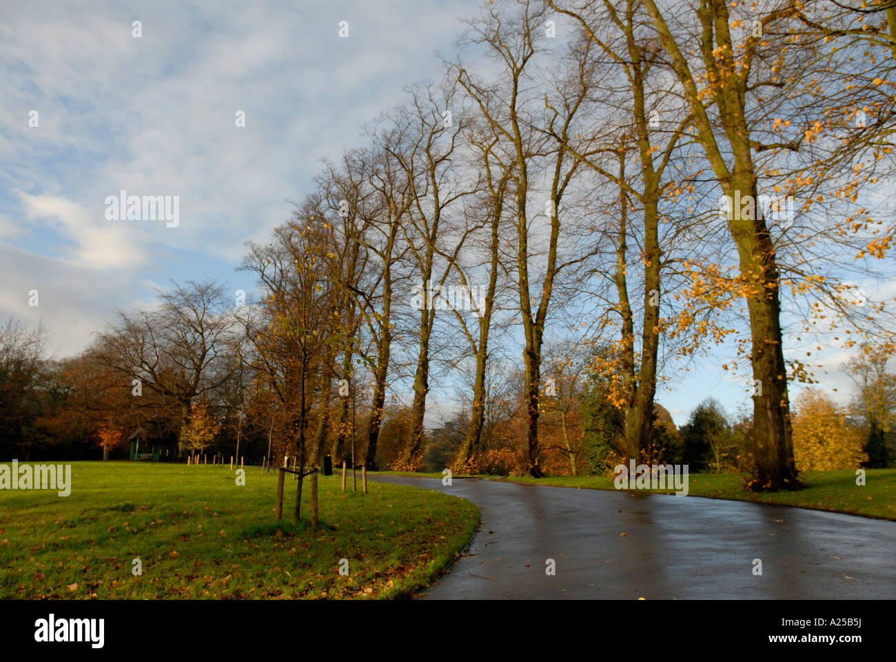 Waterlow Park, Highgate, London, United Kingdom Stock Photo - Alamy