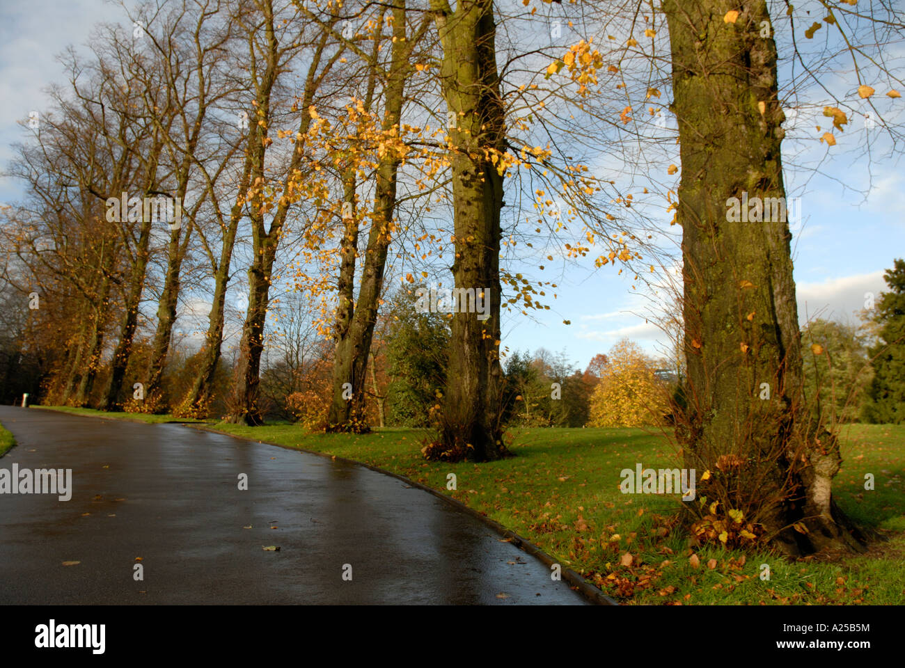 Waterlow Park, Highgate, London, United Kingdom Stock Photo - Alamy