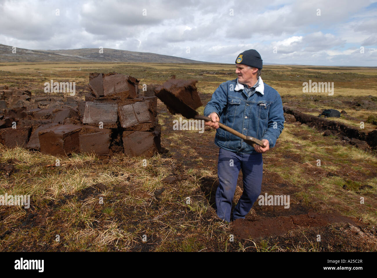 A man peat cutting in the traditional way with a spade for fuel and ...