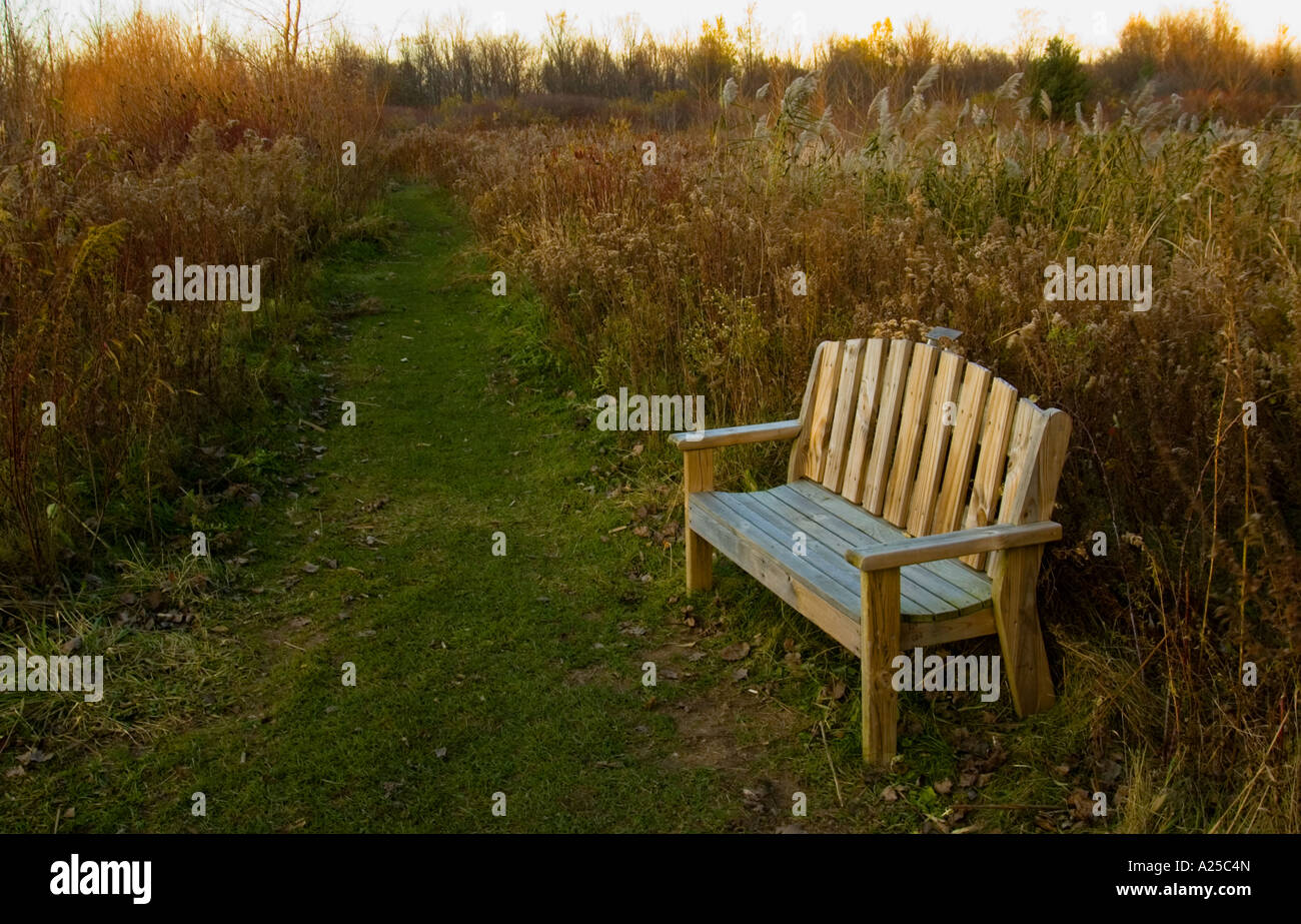 Lansing center hi-res stock photography and images - Alamy