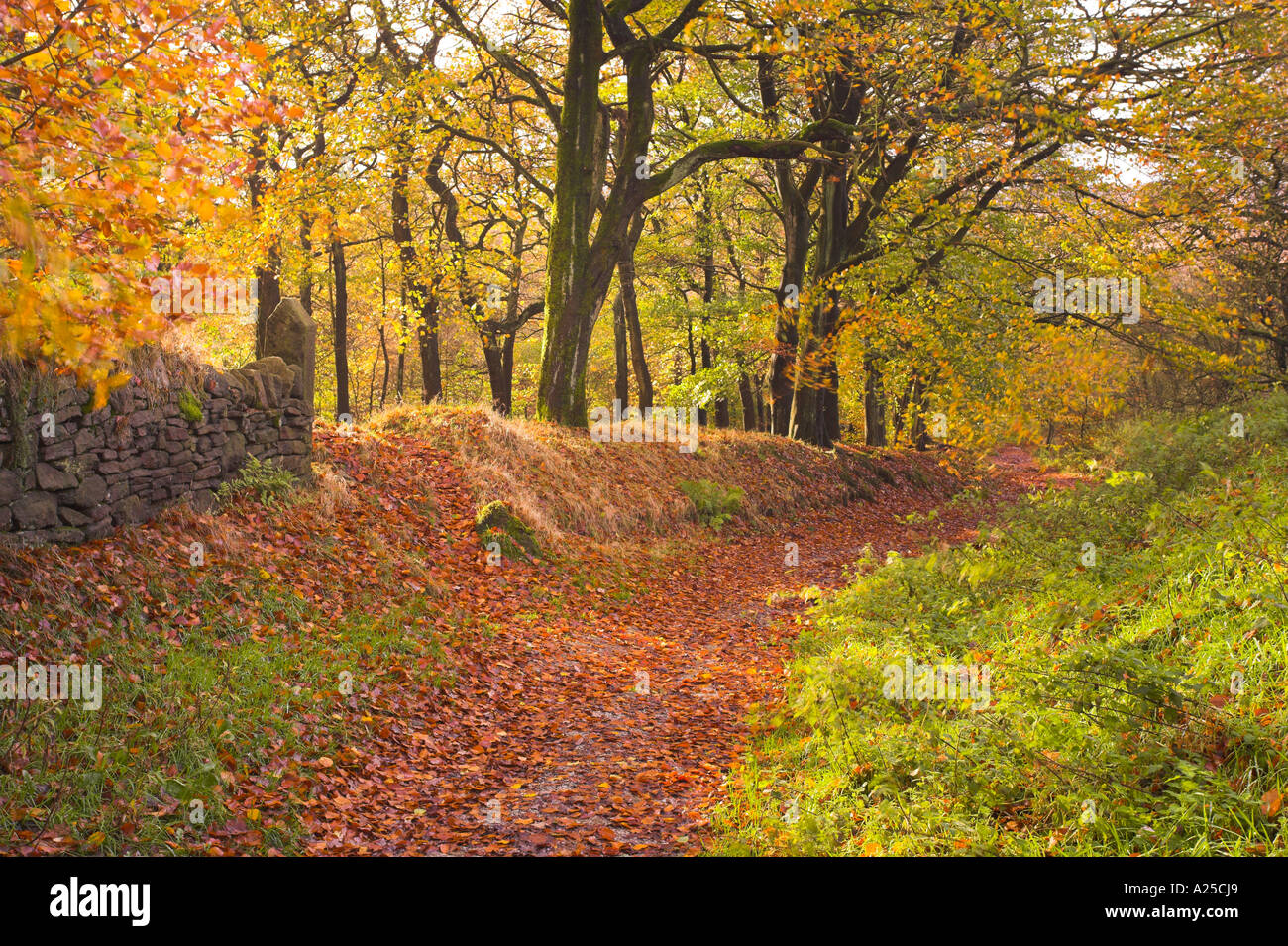 Witton Weavers Way High Resolution Stock Photography and Images - Alamy