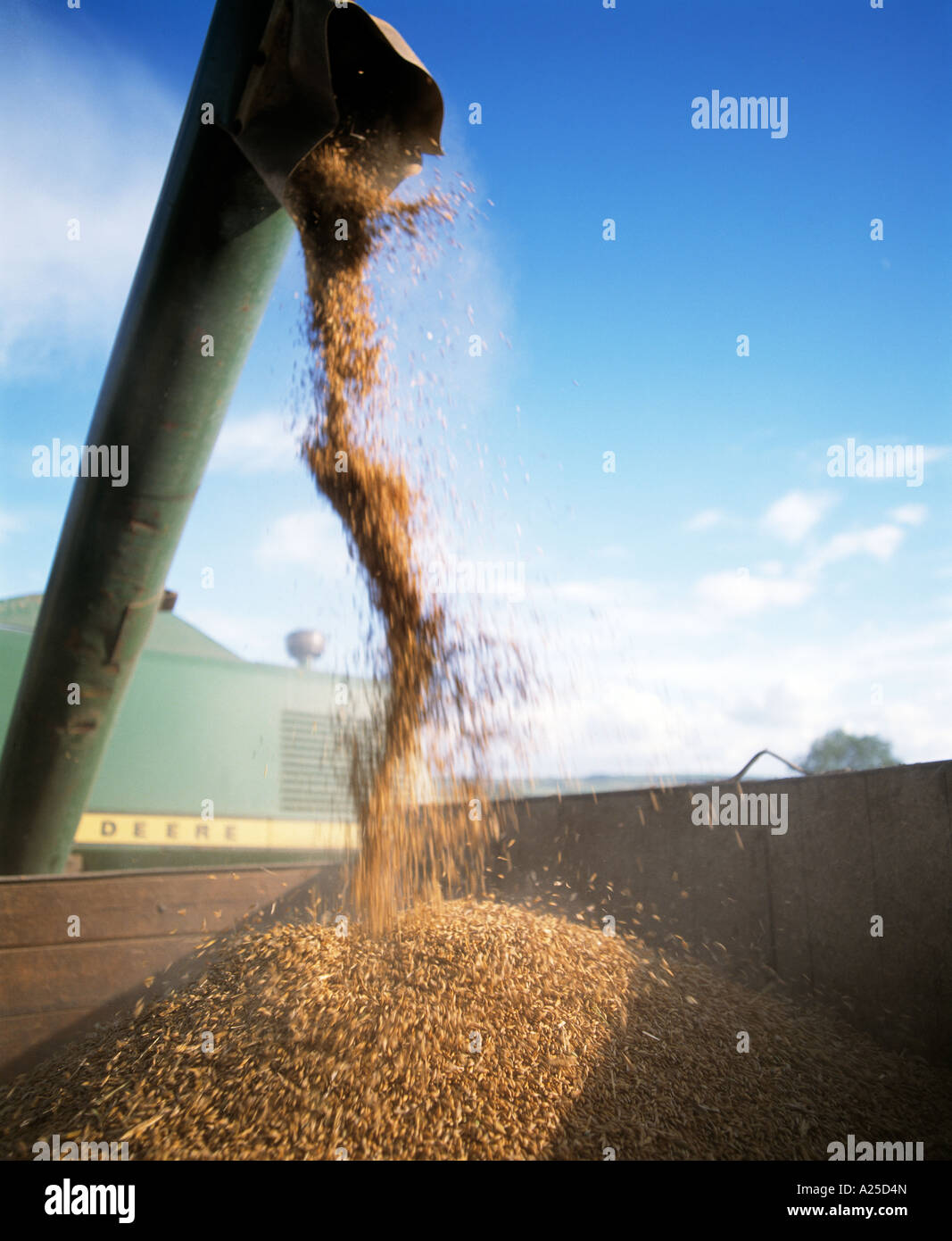 Combined corn hi-res stock photography and images - Alamy