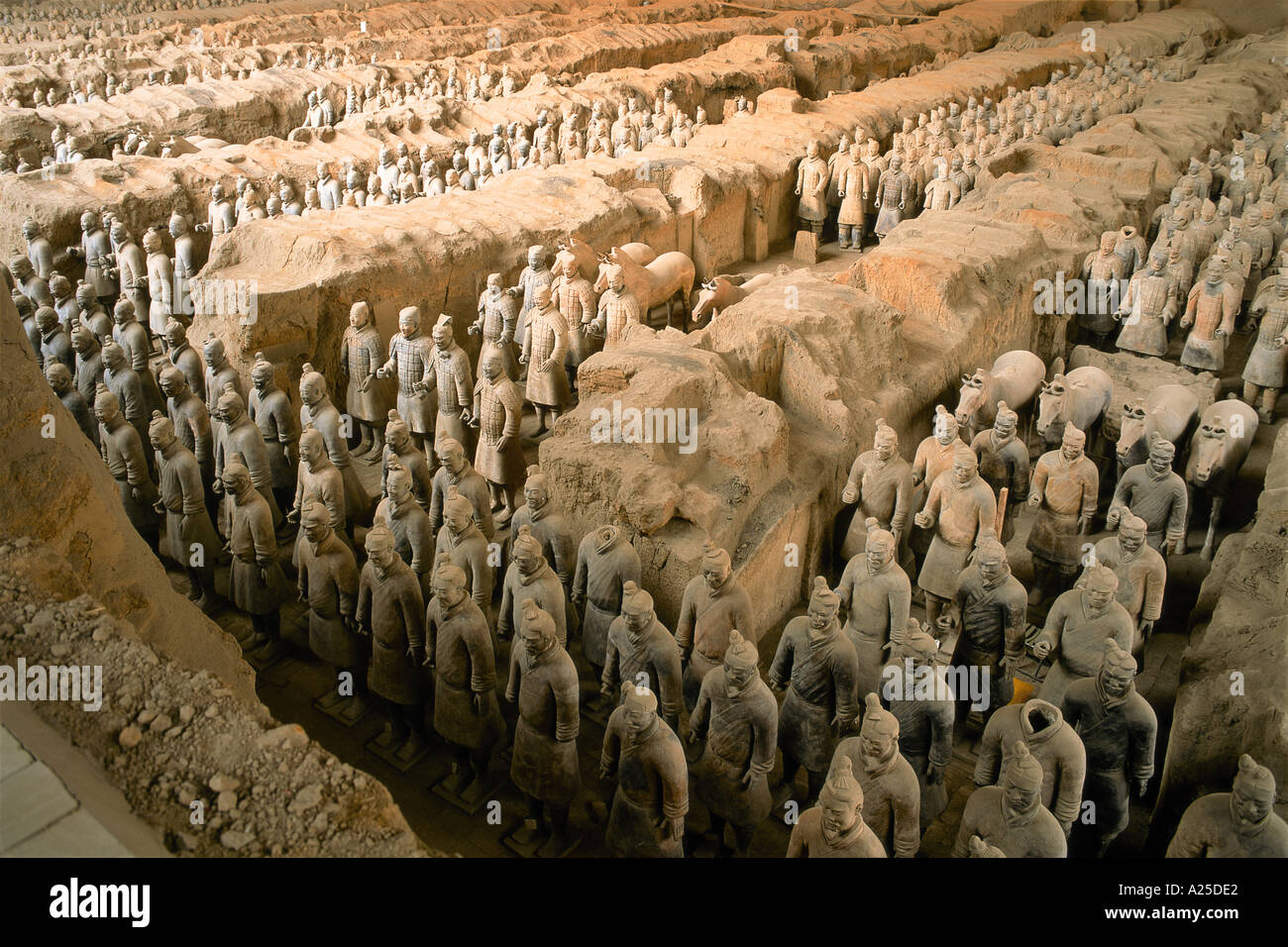 ROWS OF TERRACOTTA WARRIORS Stock Photo - Alamy