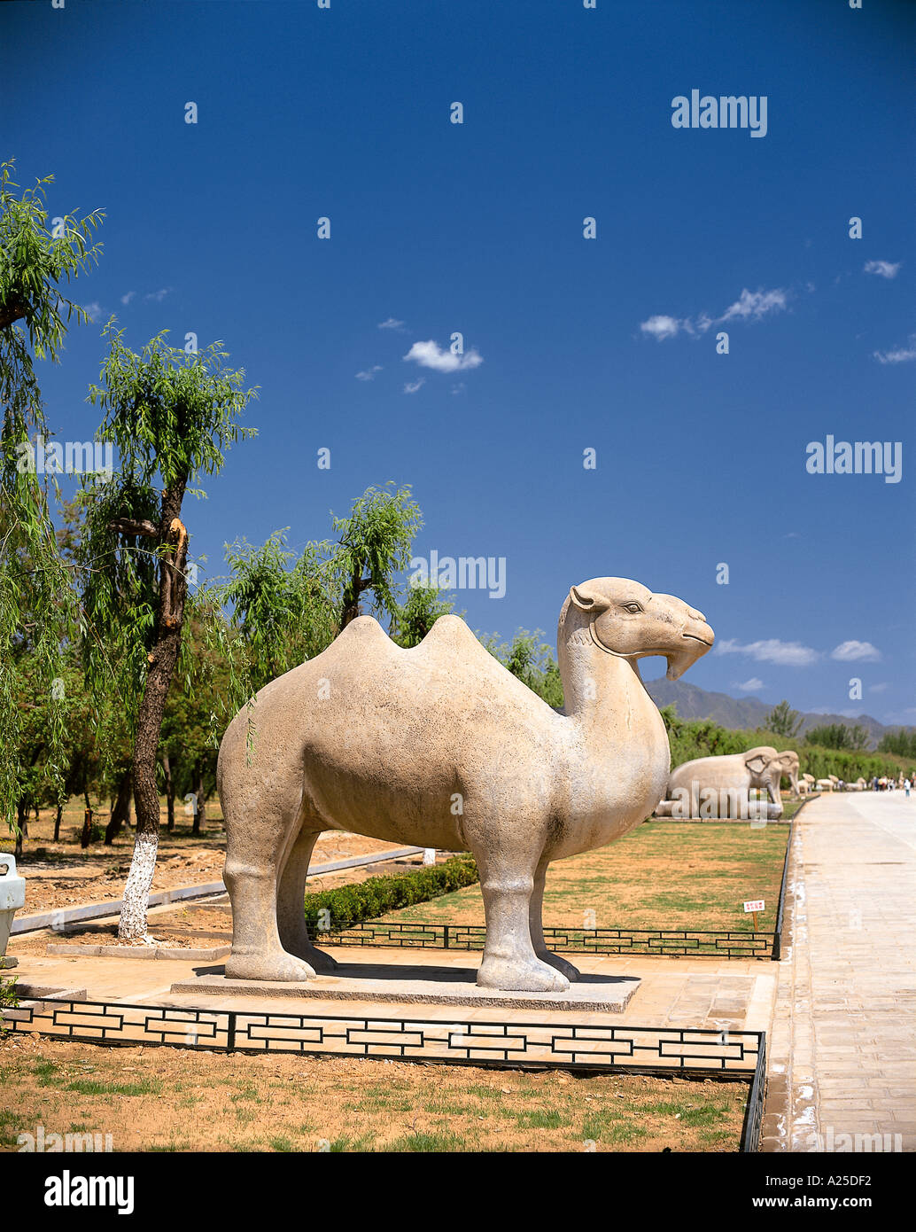 Camel Statues High Resolution Stock Photography and Images - Alamy