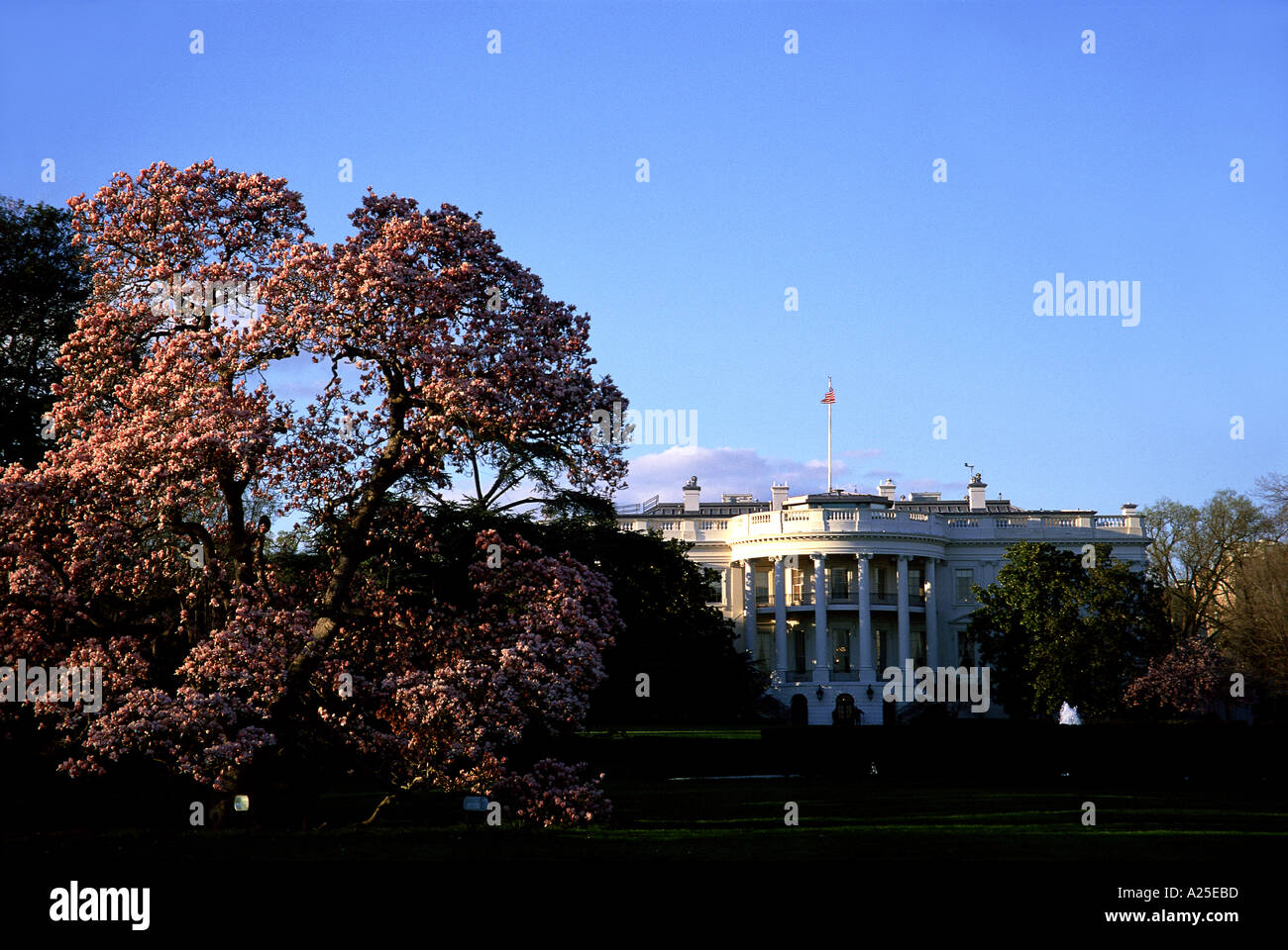 WHITE HOUSE WASHINGTON DC USA Stock Photo - Alamy