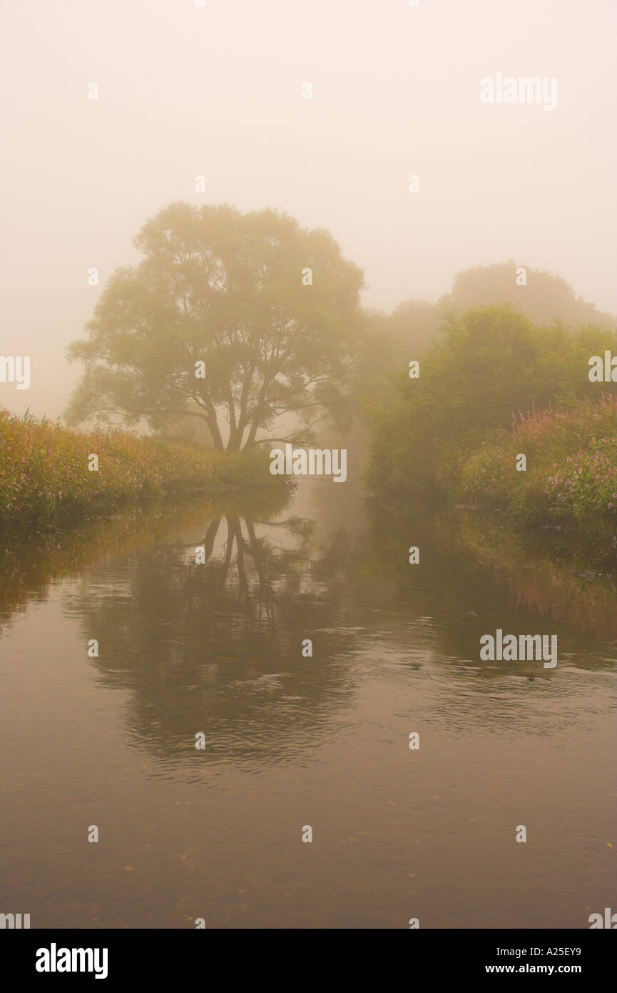 River Darwen Witton Country Park Misty morning summer Lancashire uk ...