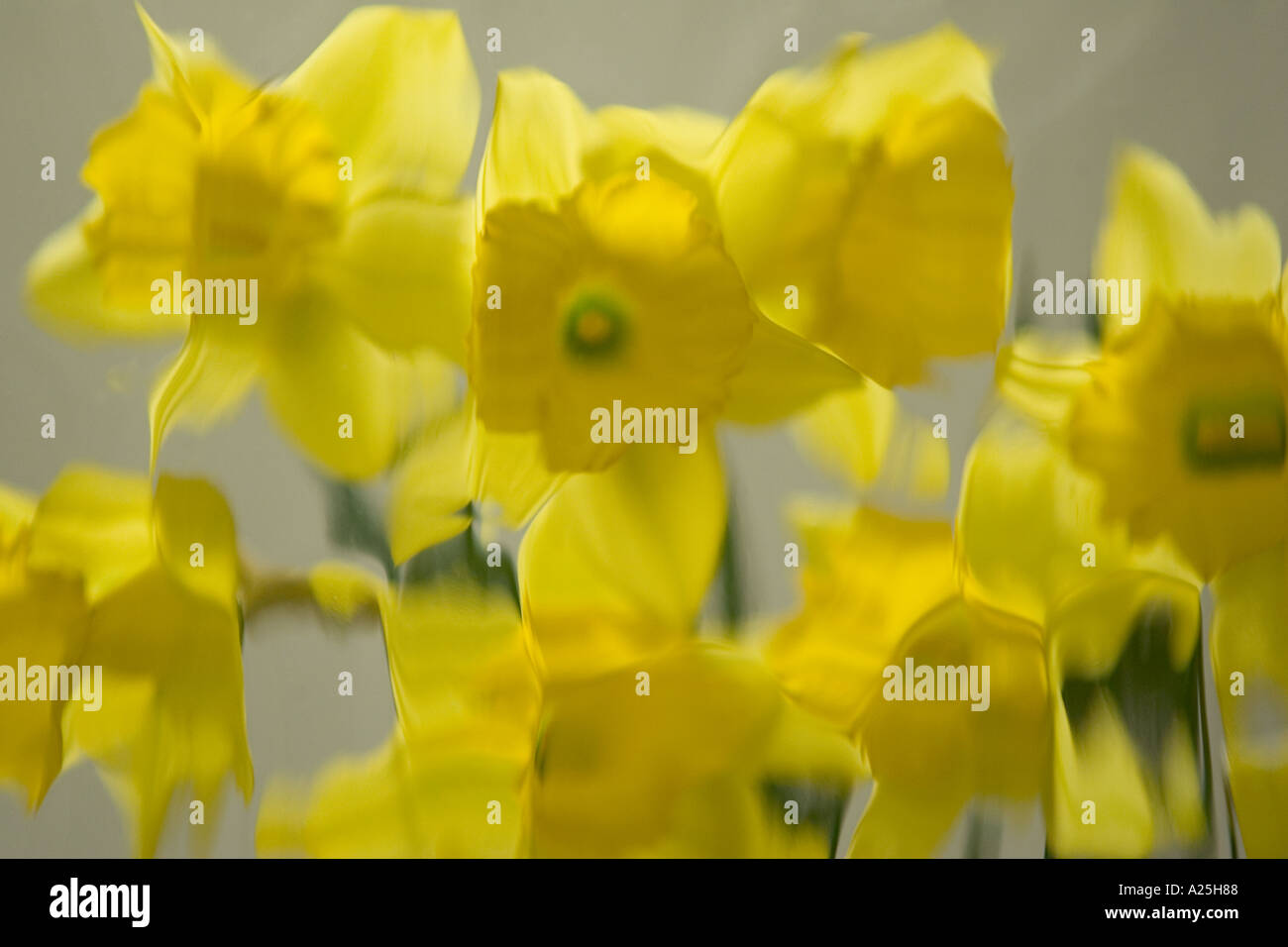 Colour impressions hi-res stock photography and images - Alamy