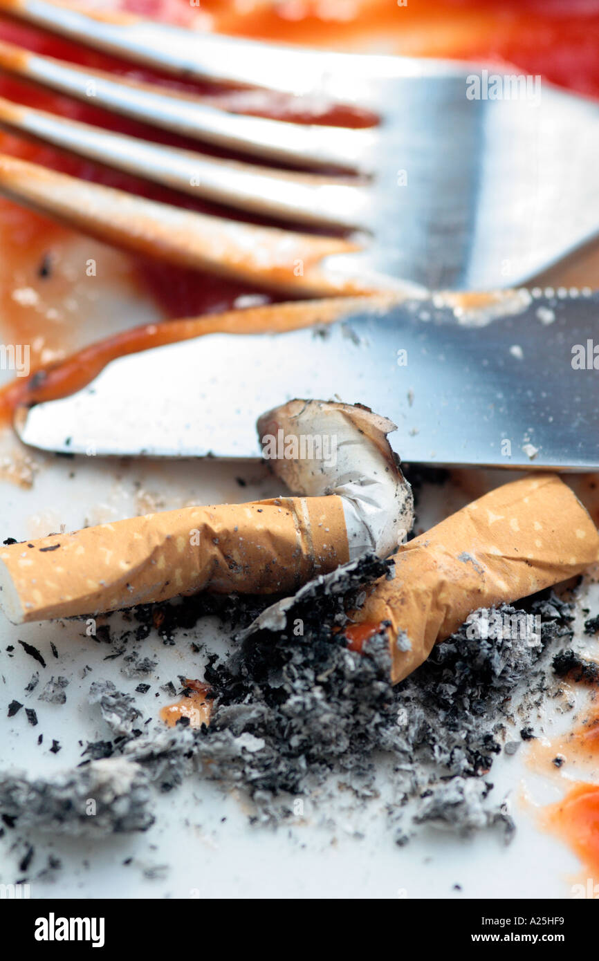 Cigarette but stubbed out on greasy dinner plate Stock Photo - Alamy