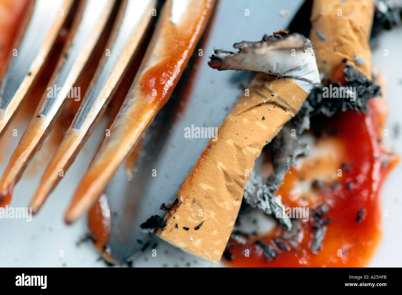 Cigarette but stub on greasy breakfast plate Stock Photo - Alamy