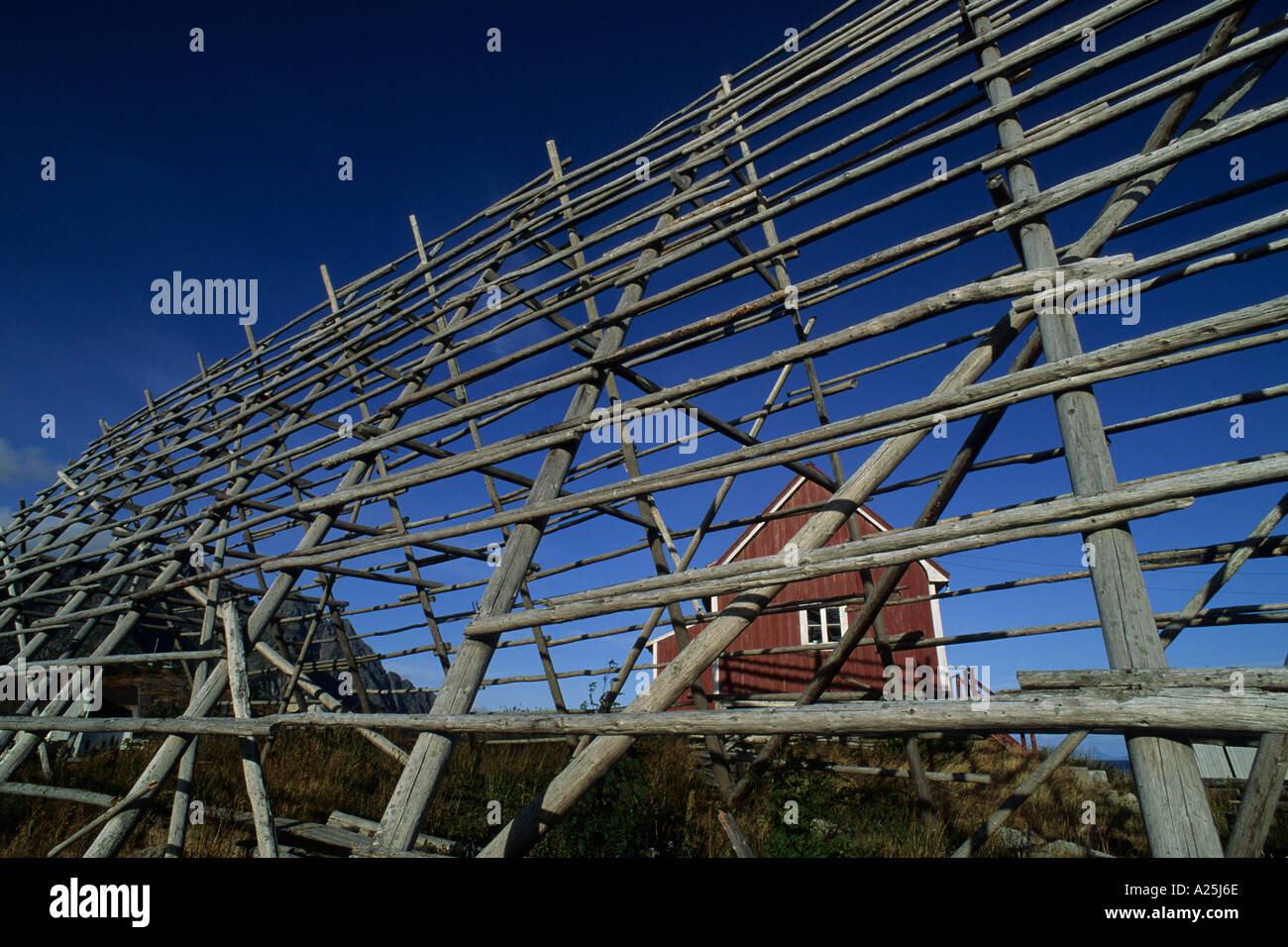 Fish scaffolding hi-res stock photography and images - Alamy