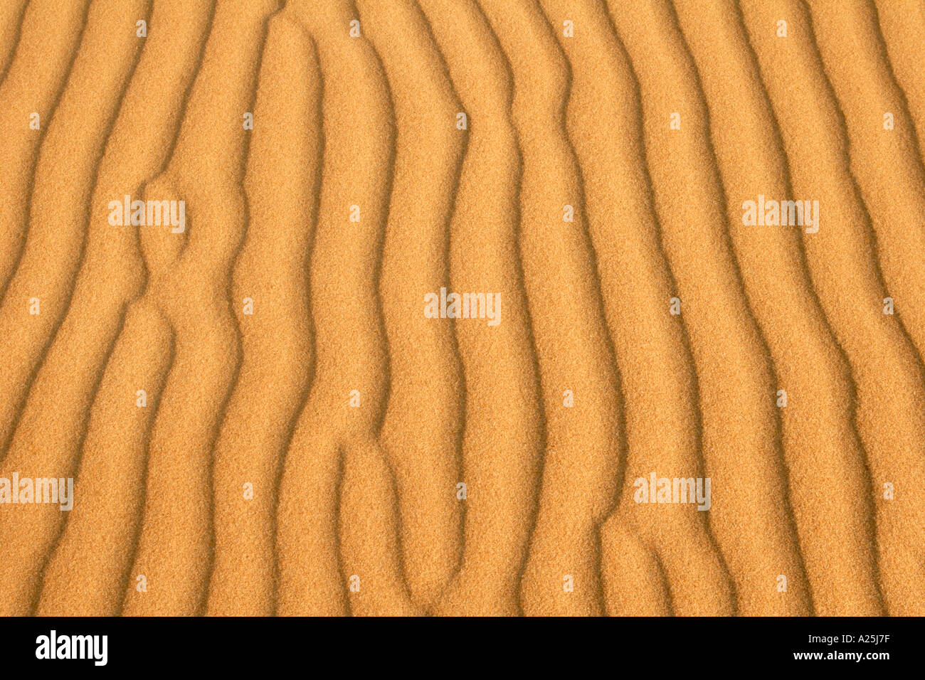 Beach soft sand rippled texture hi-res stock photography and images - Alamy