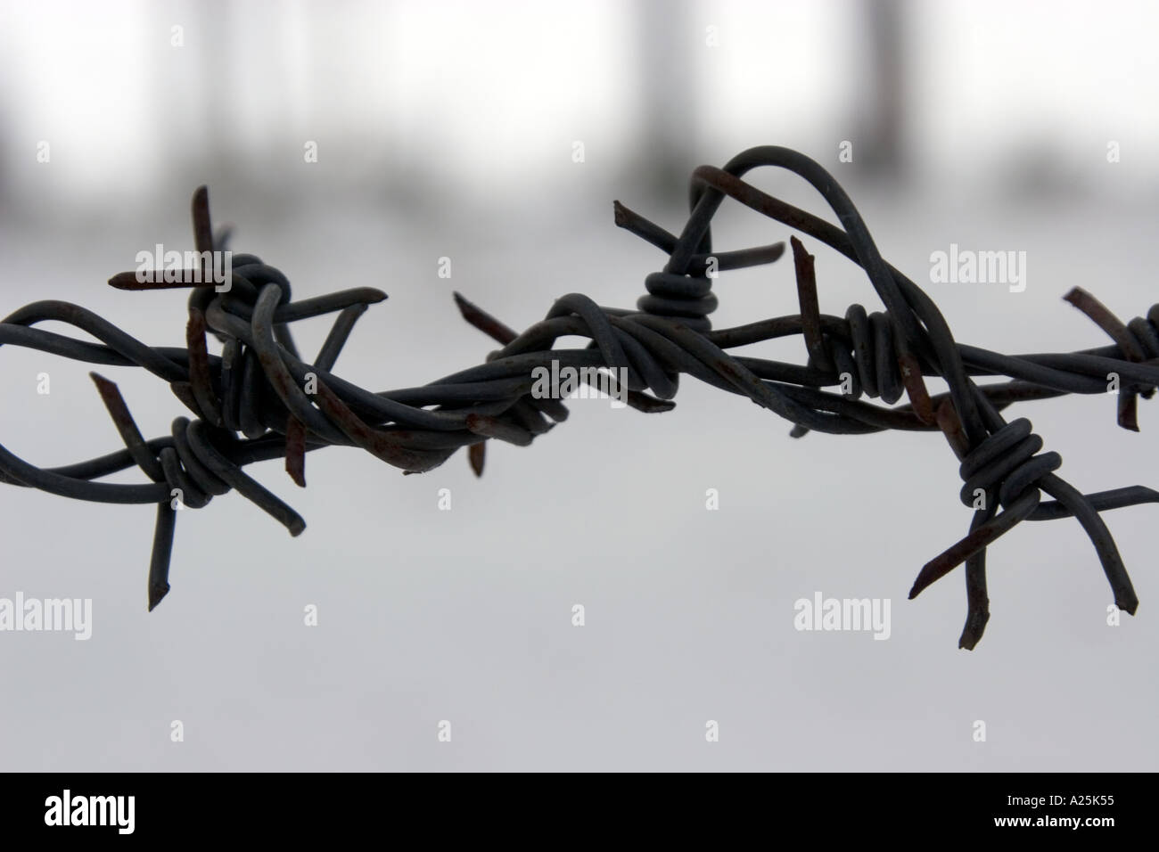 Bobwire Fence High Resolution Stock Photography and Images - Alamy