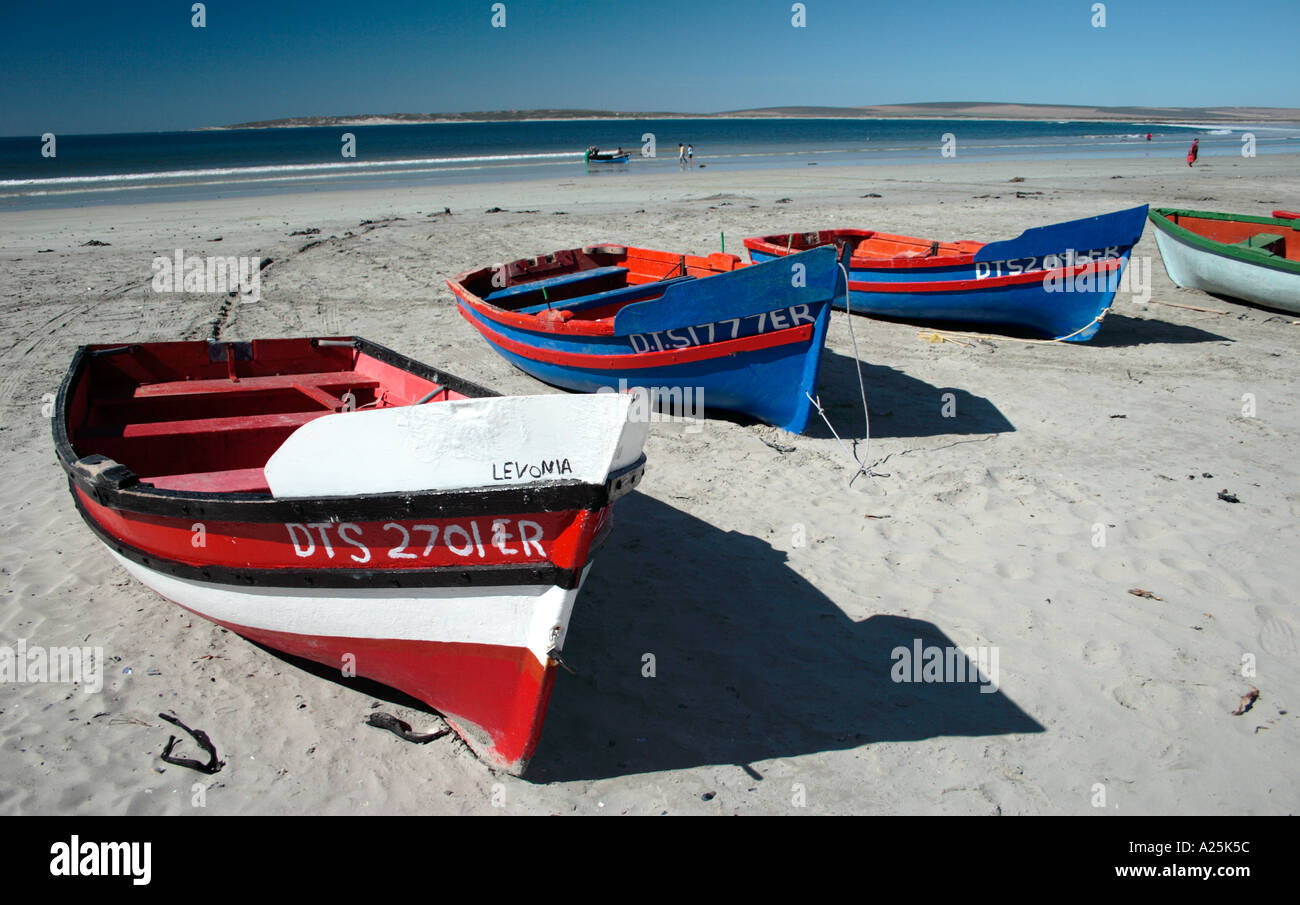 Paternoster south africa fish hi-res stock photography and images - Alamy