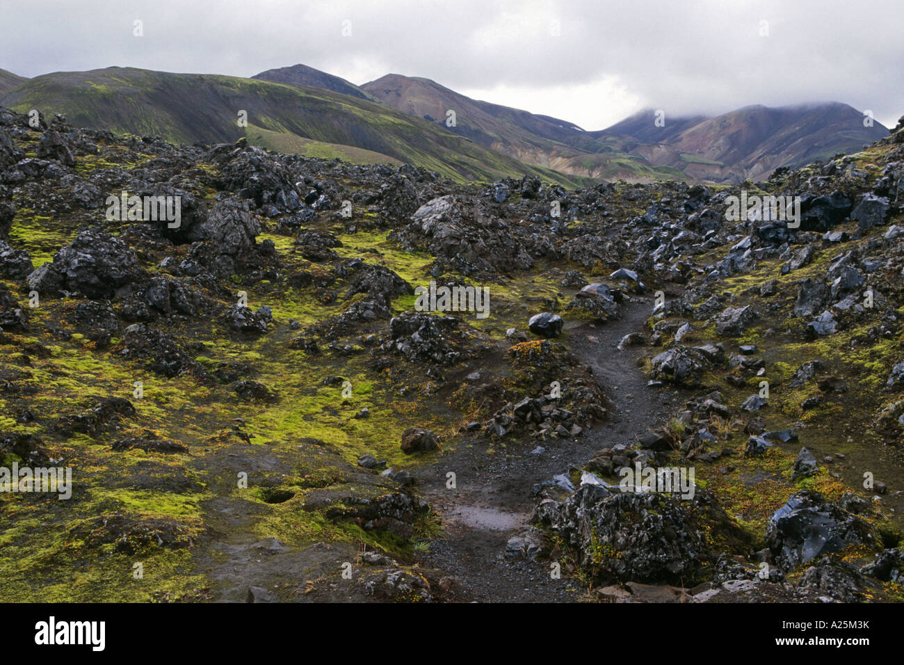 path through Obsidian landscape, Iceland, Landmannalaugar Stock Photo ...