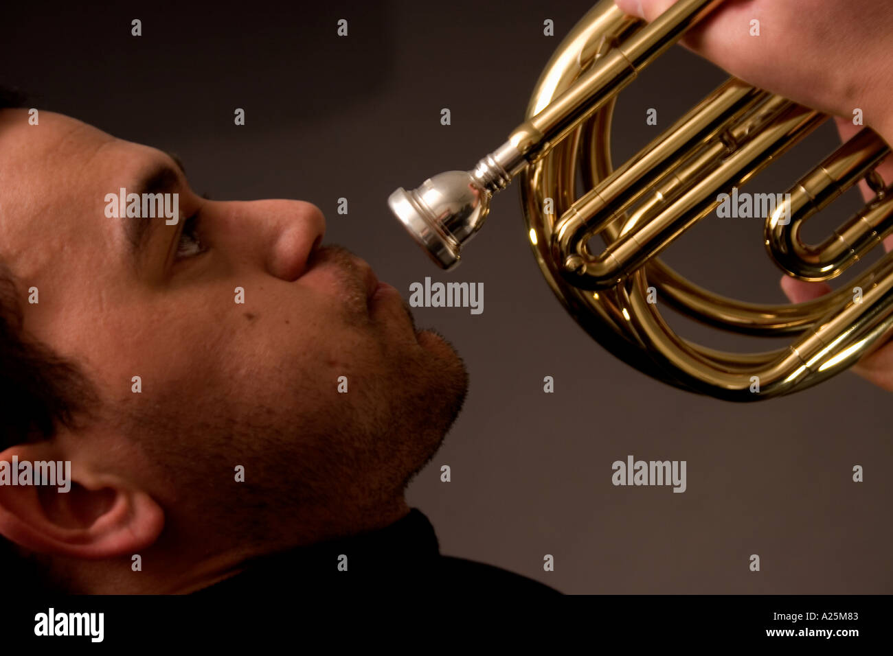 Blue note jazz trumpet hi-res stock photography and images - Alamy