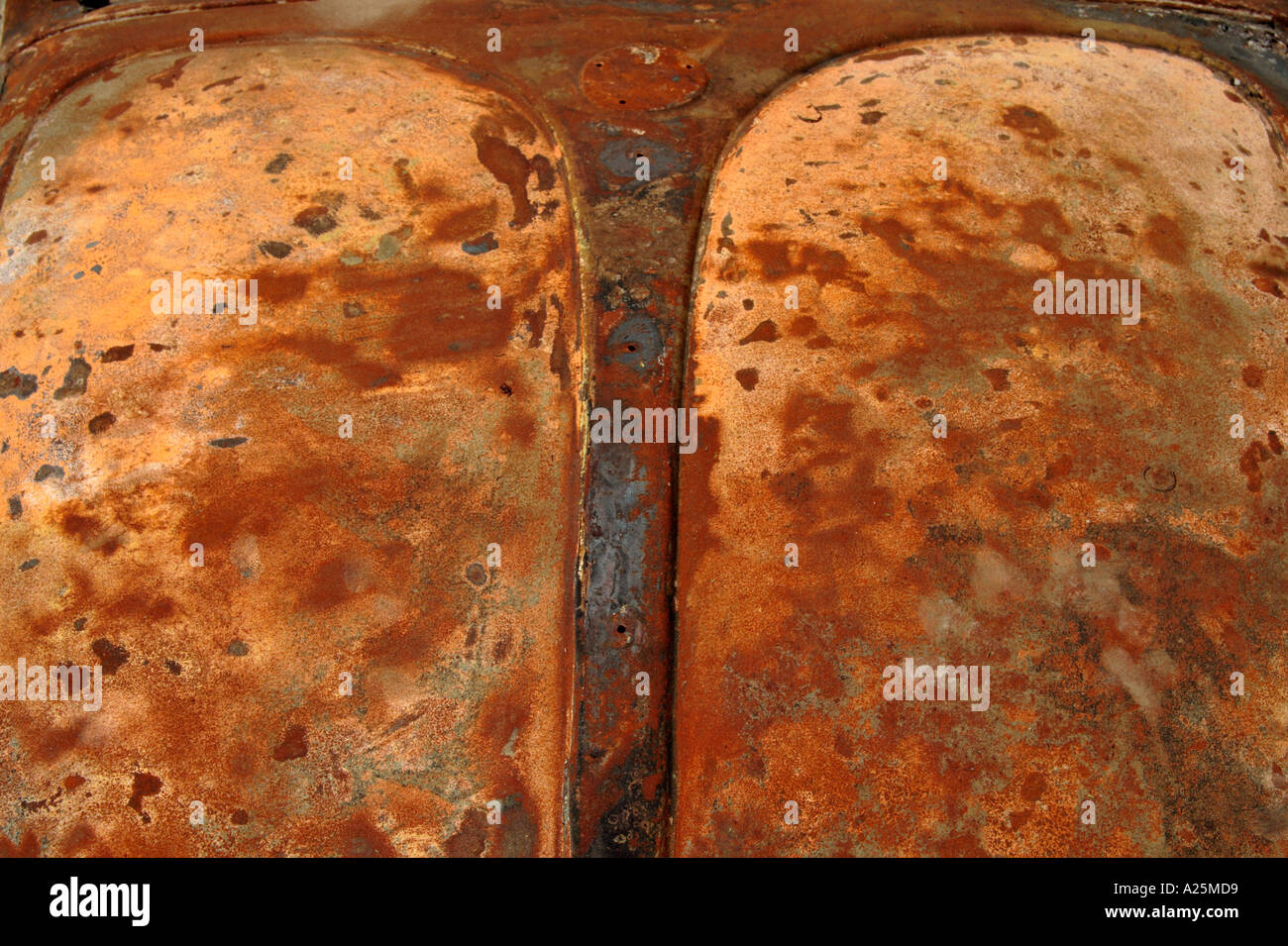 Close up of bonnet of old abandoned rusty VW Beetle Stock Photo - Alamy