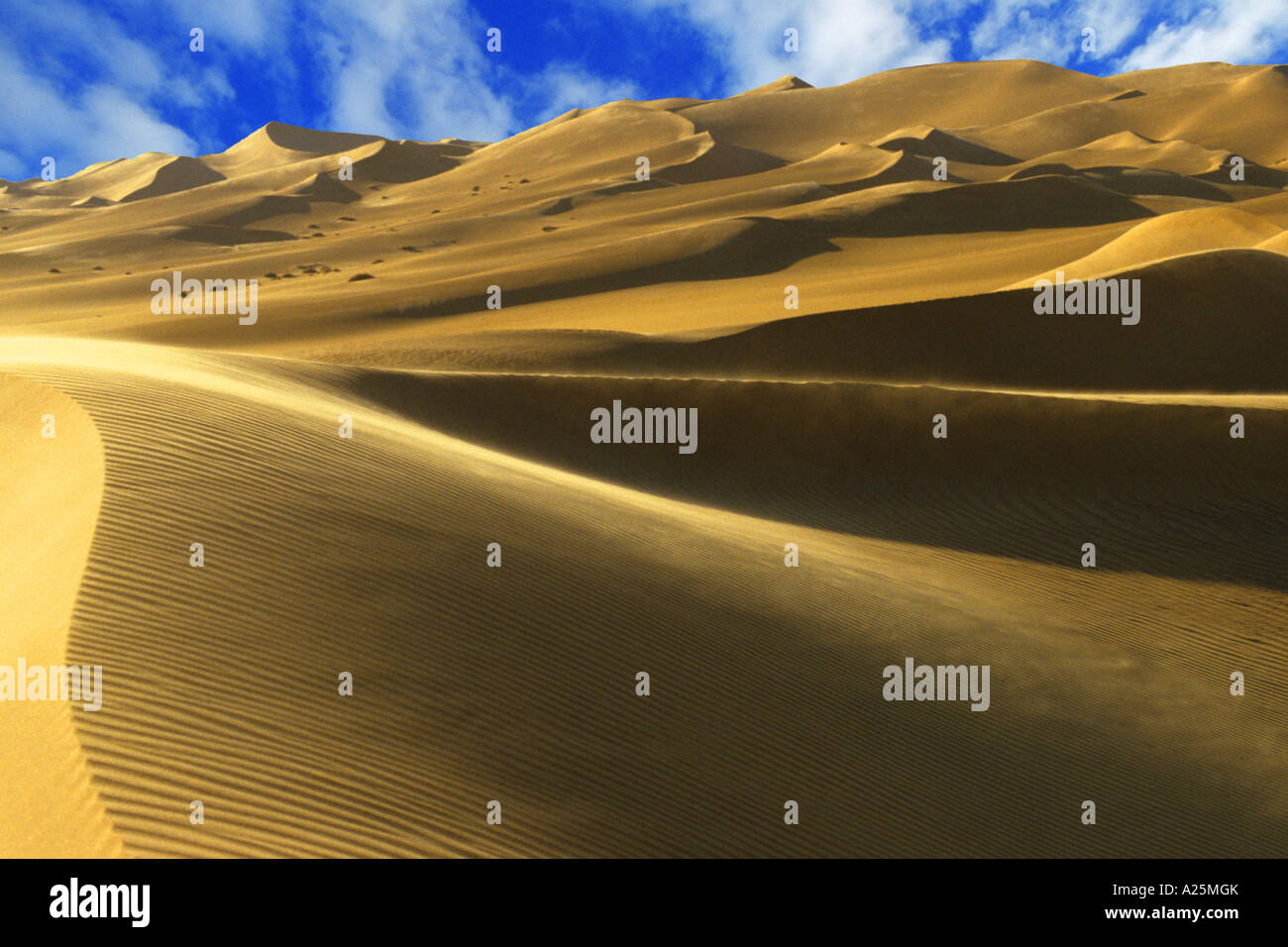 Sahara mcphoto landscape hi-res stock photography and images - Alamy