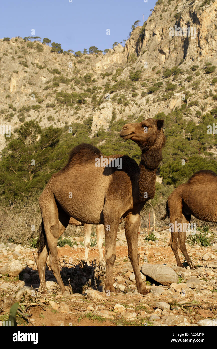 Mountain ranges in turkey hi-res stock photography and images - Alamy