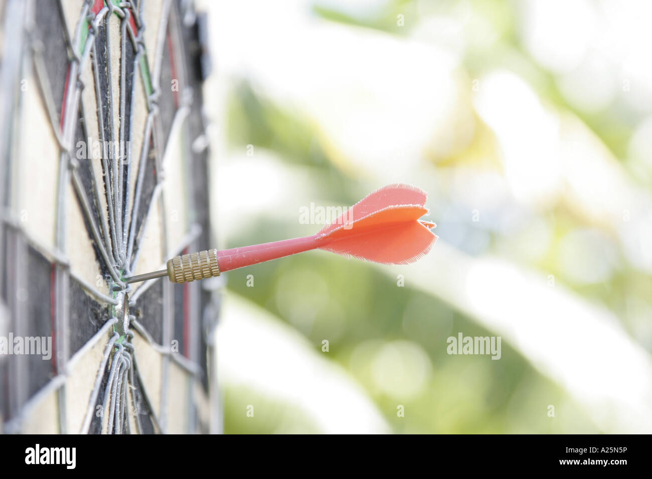 Darts disc hi-res stock photography and images - Alamy