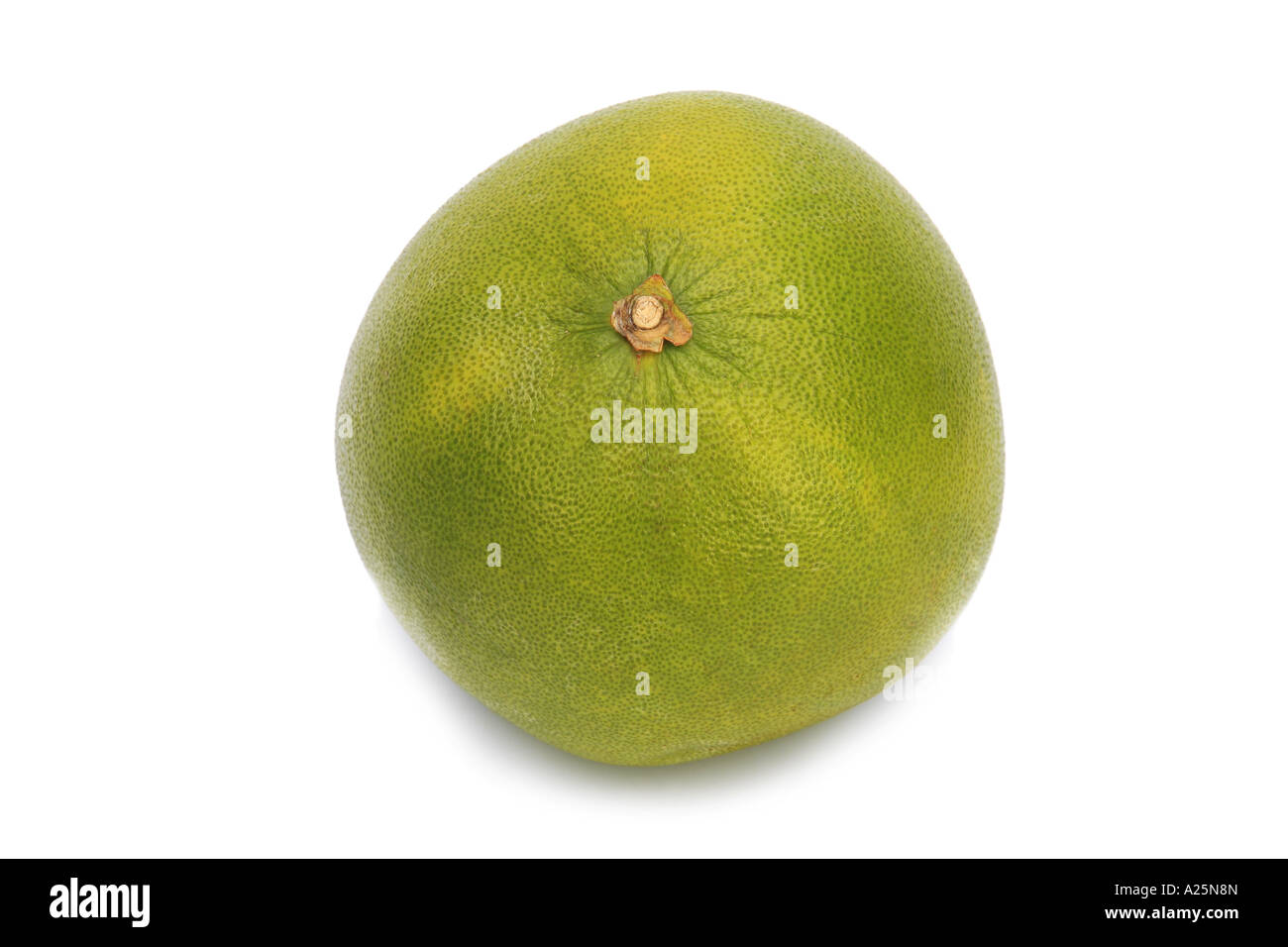 Pomelo seed Cut Out Stock Images & Pictures - Alamy