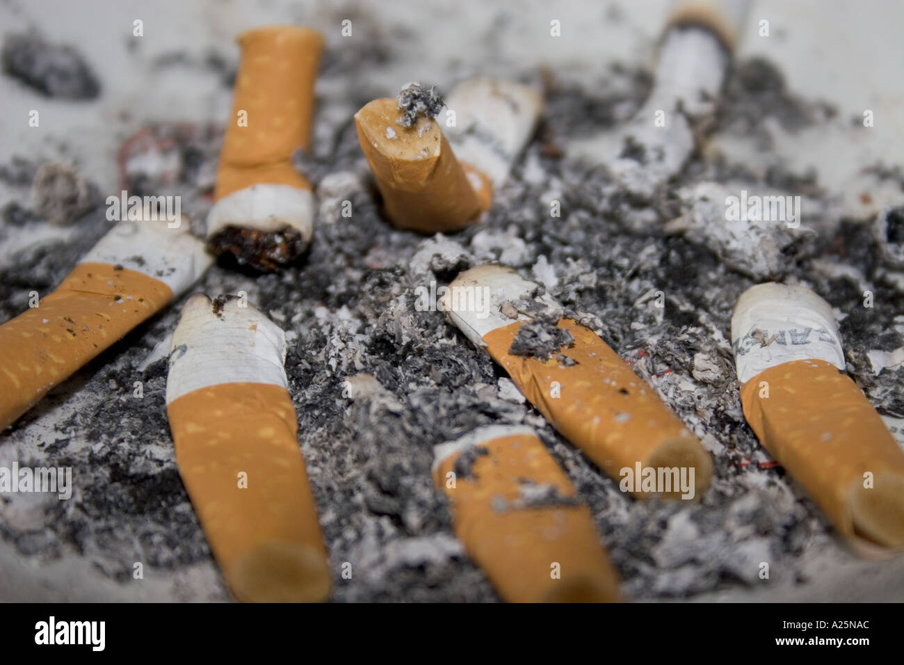 Cigarette stubs no smoking hi-res stock photography and images - Alamy