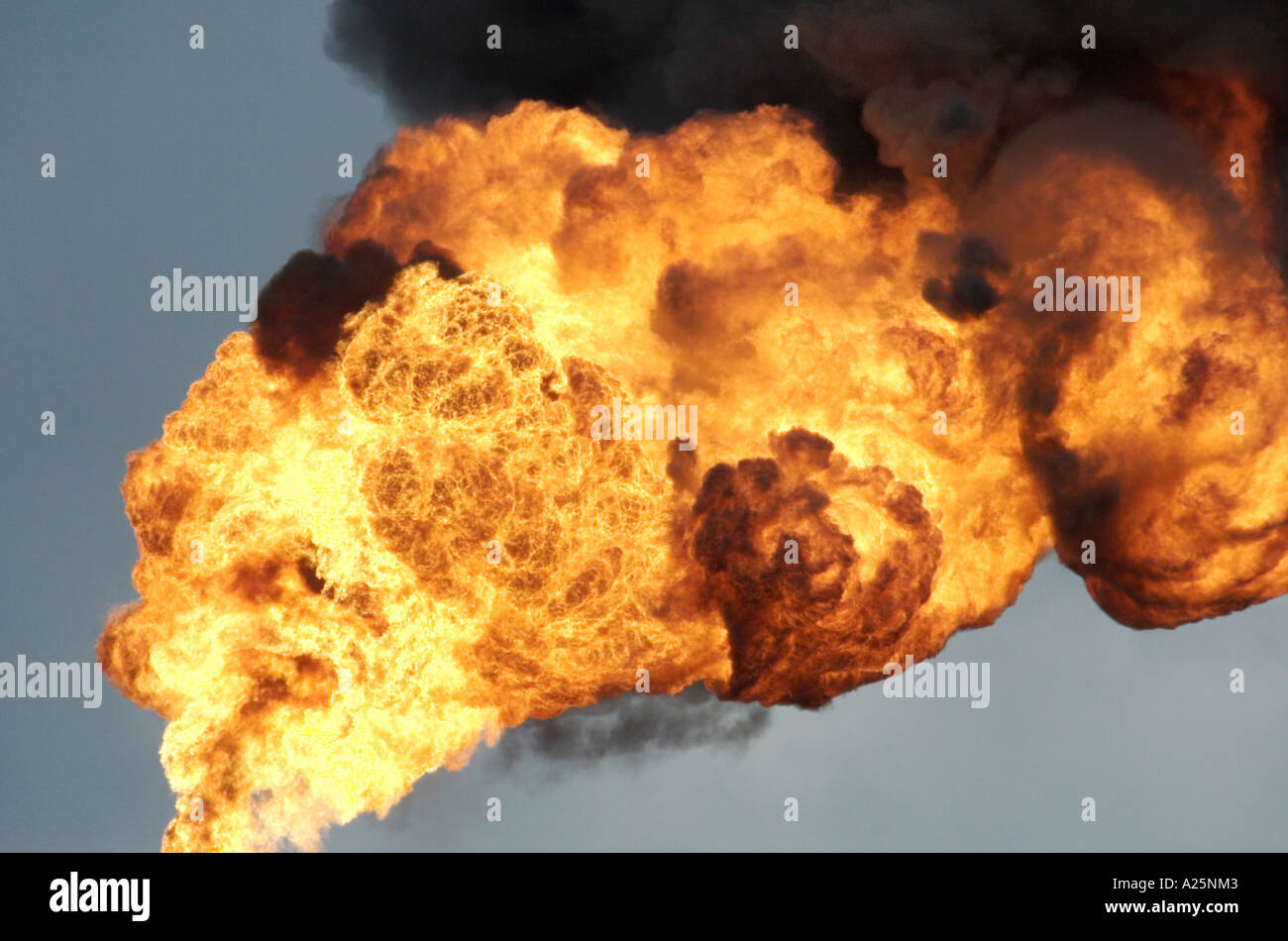 Intense hot fires burning from oil refinery flares Stock Photo - Alamy