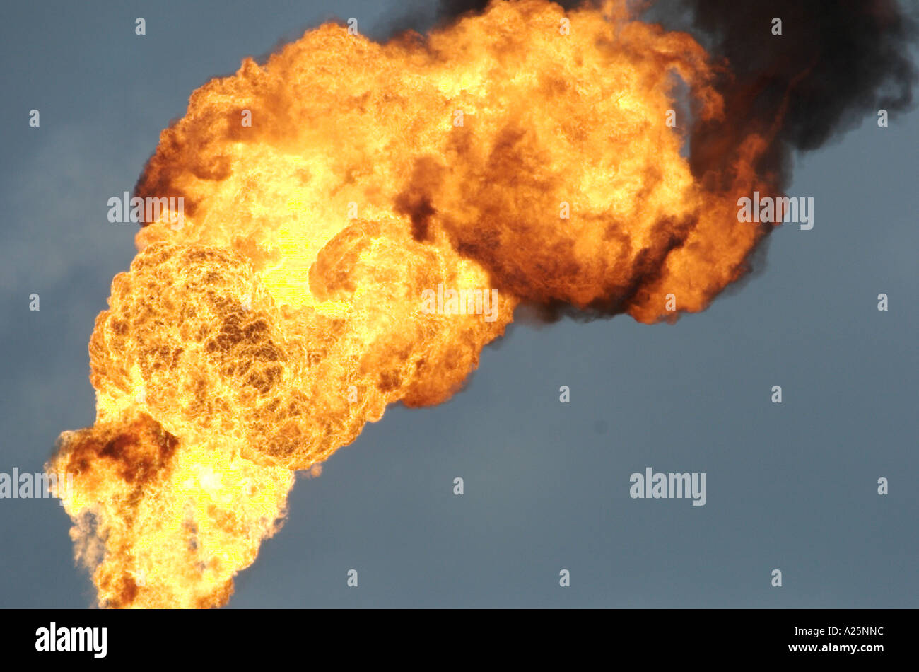 Intense hot fires burning from oil refinery flares Stock Photo - Alamy
