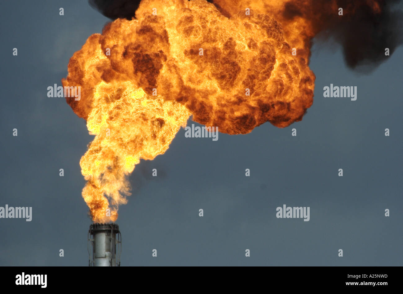 Intense hot fires burning from oil refinery flares Stock Photo - Alamy