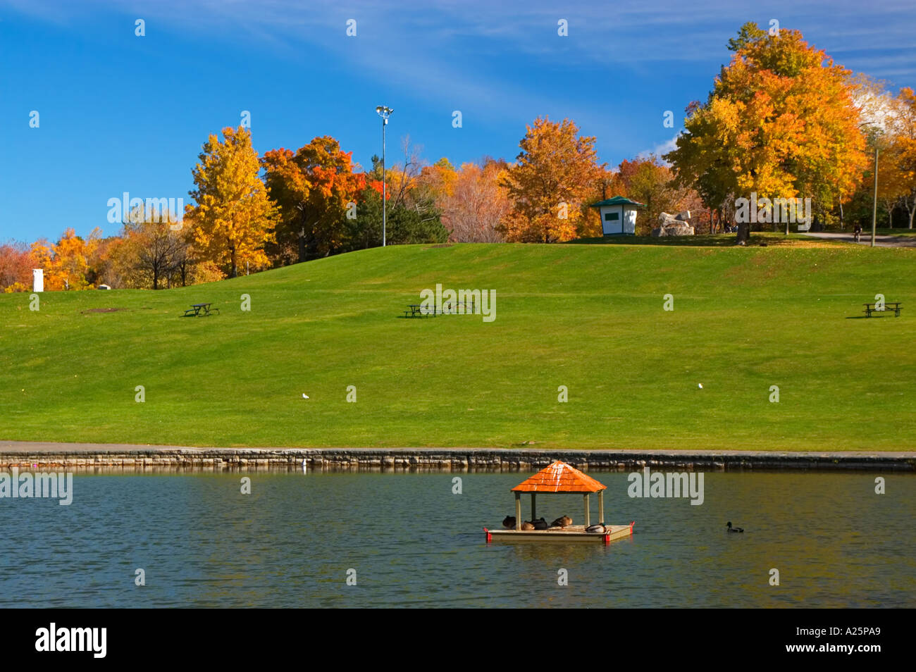 Beaver Lake, Mount Royal Park, Montreal, Quebec, Canada Stock Photo - Alamy