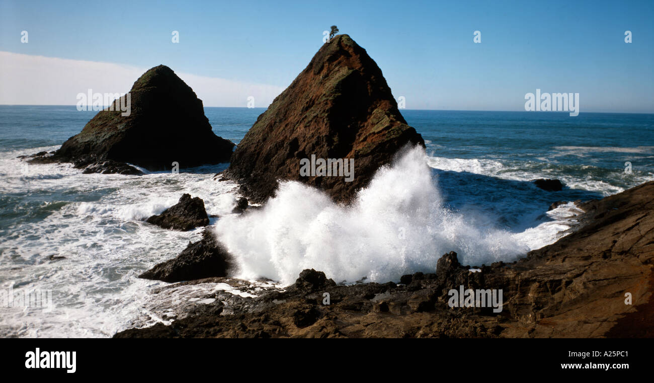 Devils Elbow State Park on the Oregon Coast where Conical Rock takes a ...