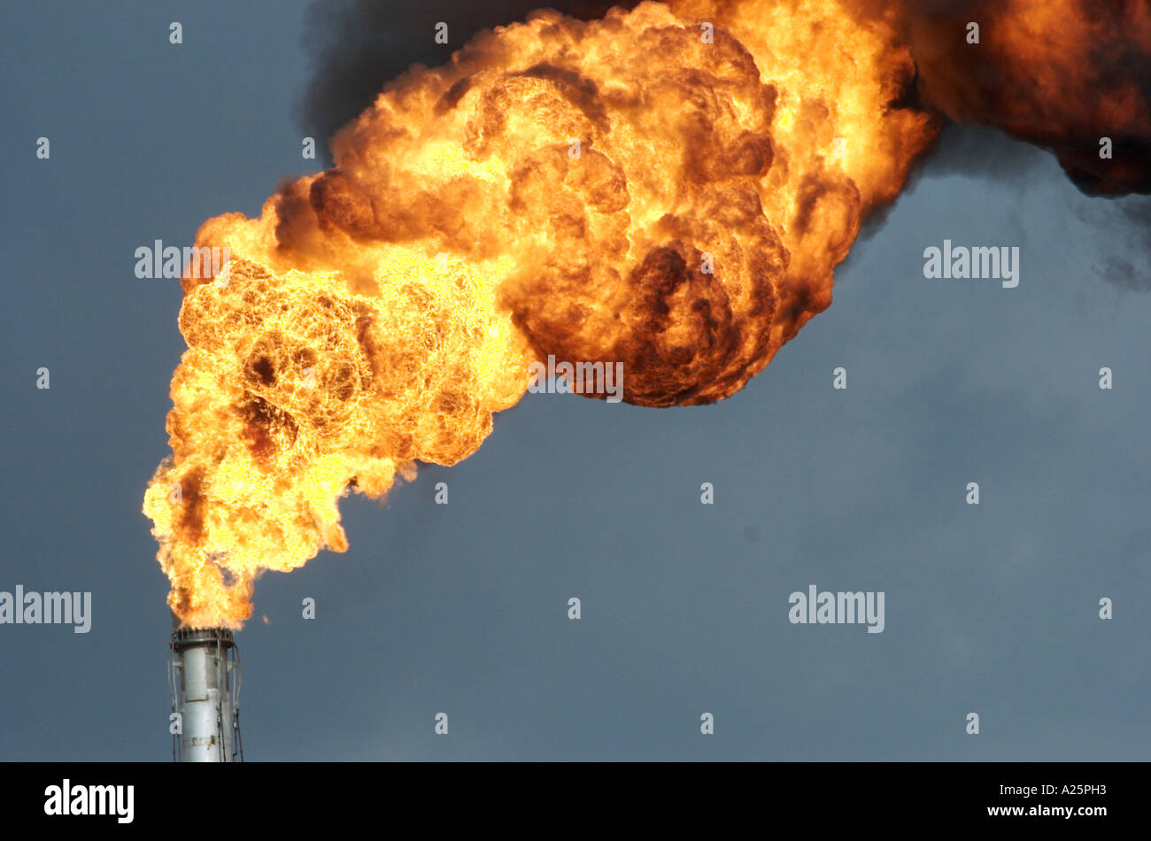 Intense hot fires burning from oil refinery flares Stock Photo - Alamy