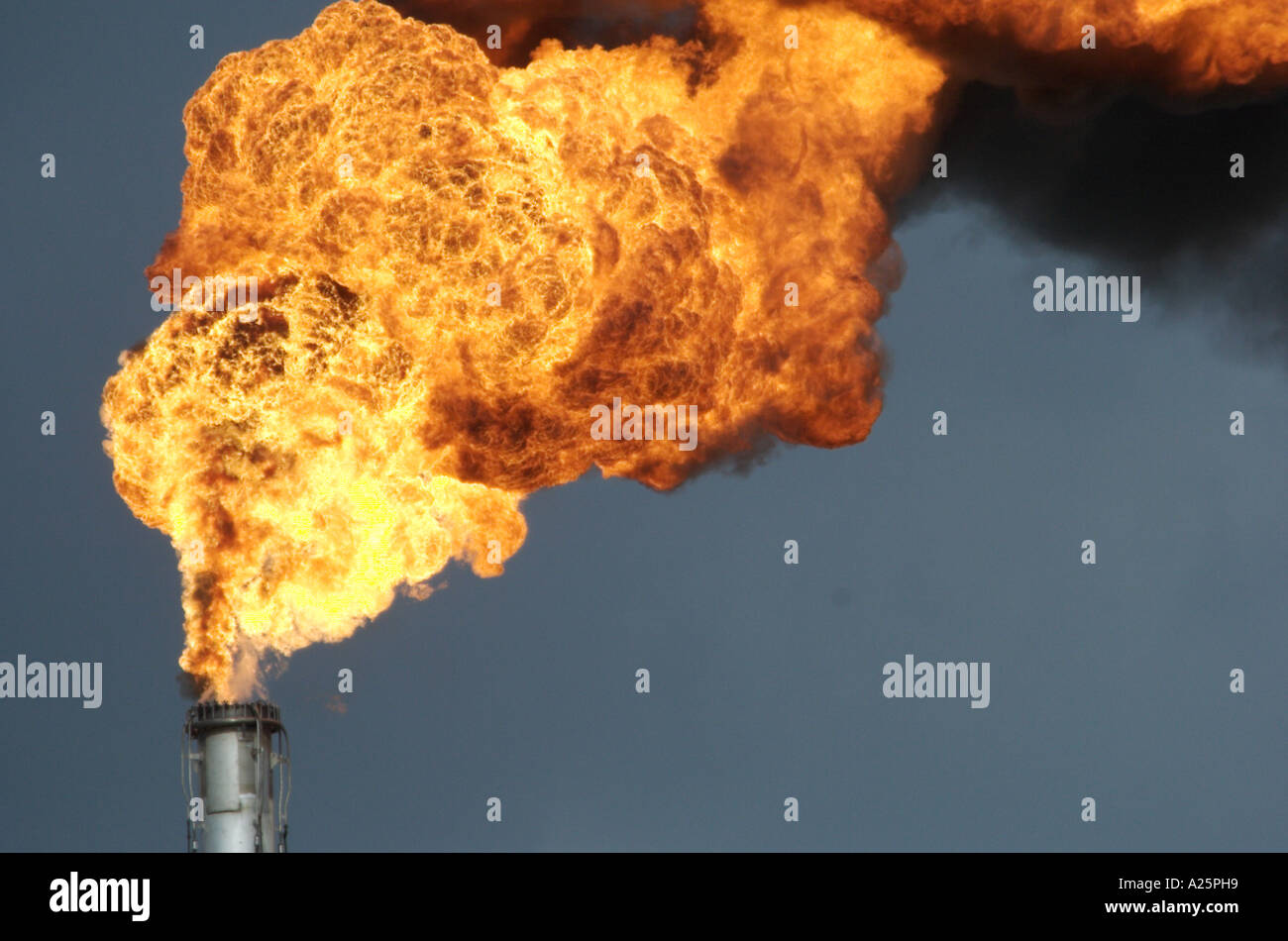 Intense hot fires burning from oil refinery flares Stock Photo - Alamy