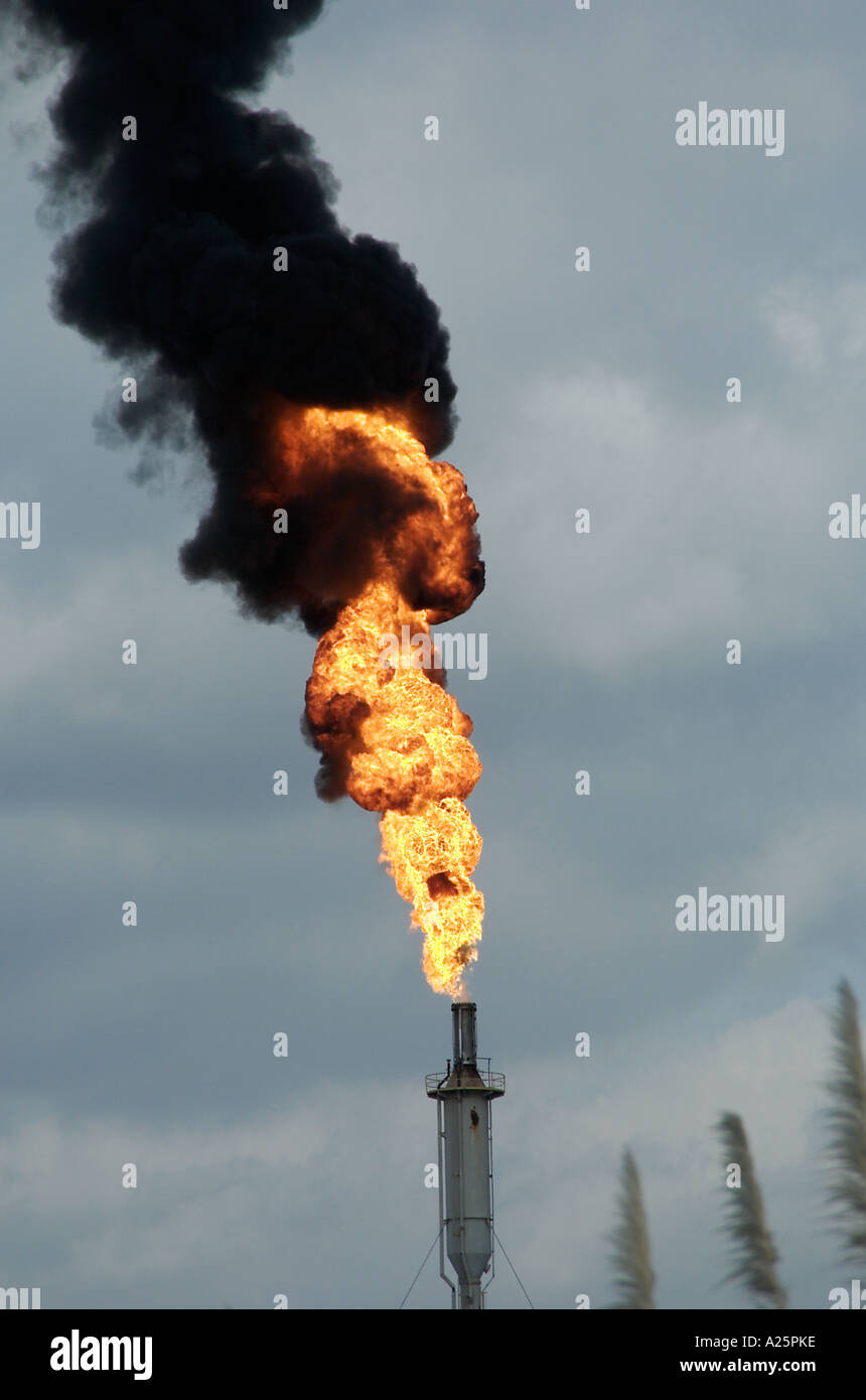 Intense hot fires burning from oil refinery flares Stock Photo - Alamy