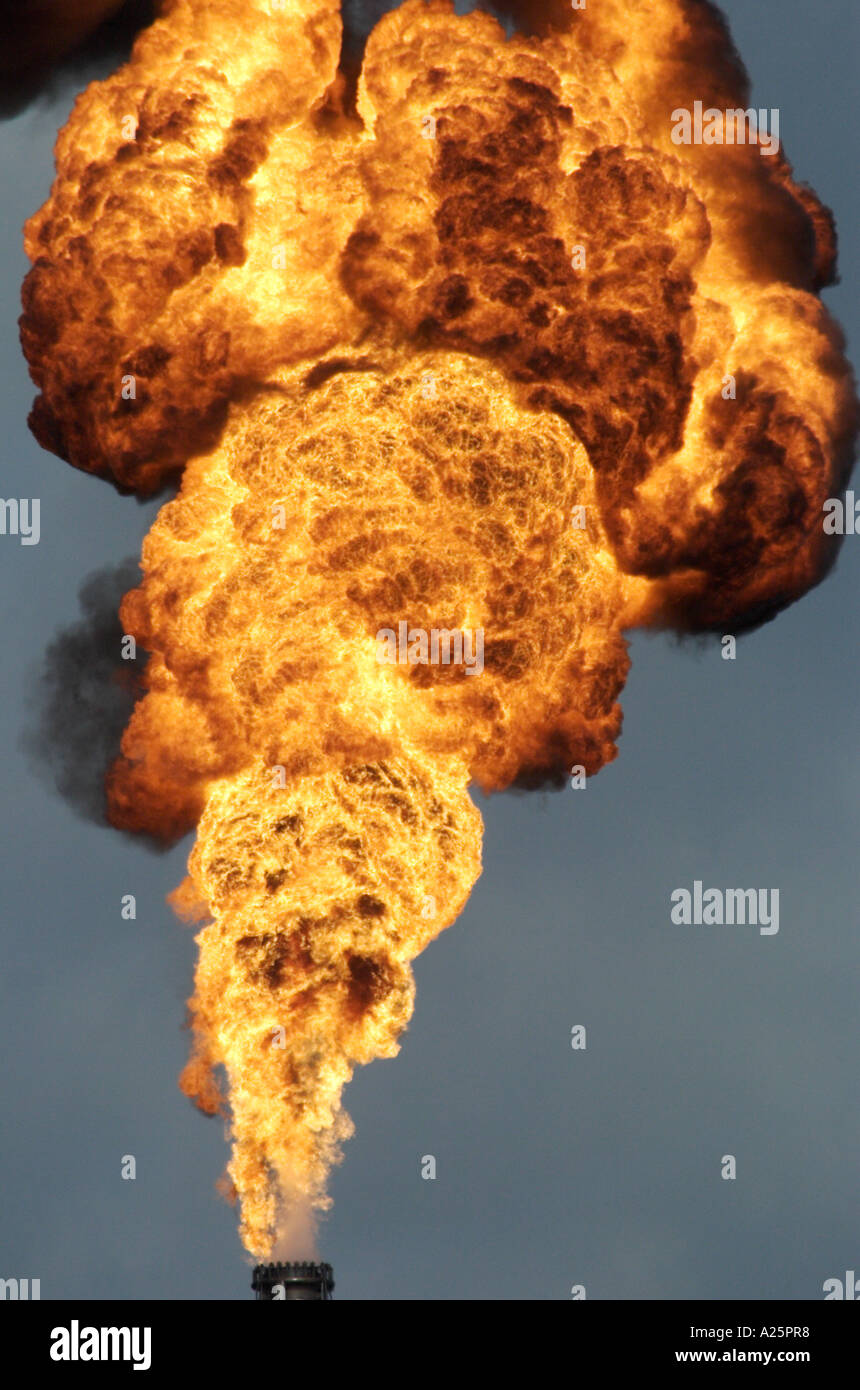 Intense hot fires burning from oil refinery flares Stock Photo - Alamy